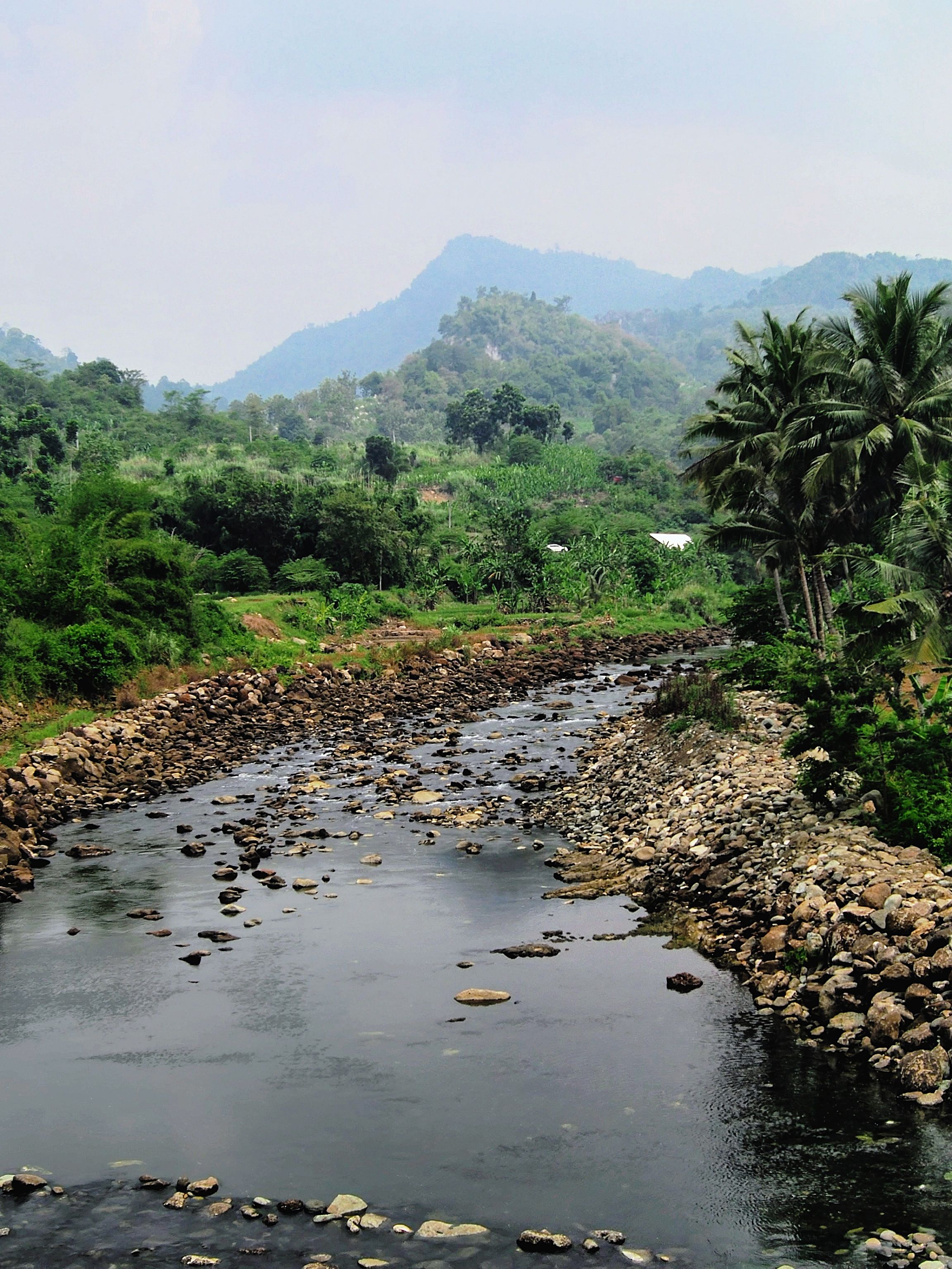 Scenic River in Lush West Java Landscape · Free Stock Photo