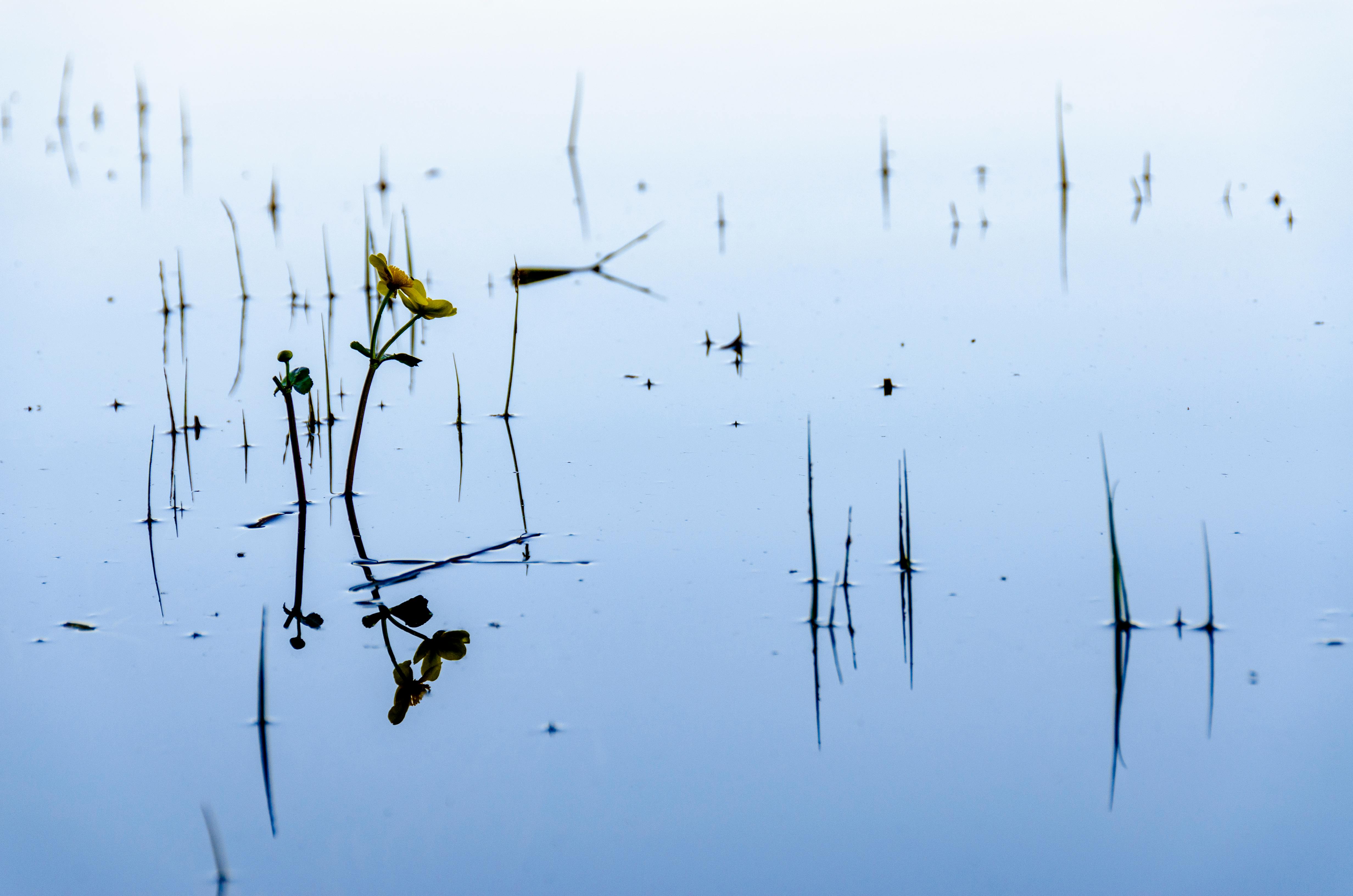 Images+Of+A+Christina+Piercing Photos, Download The BEST Free Images+Of ...