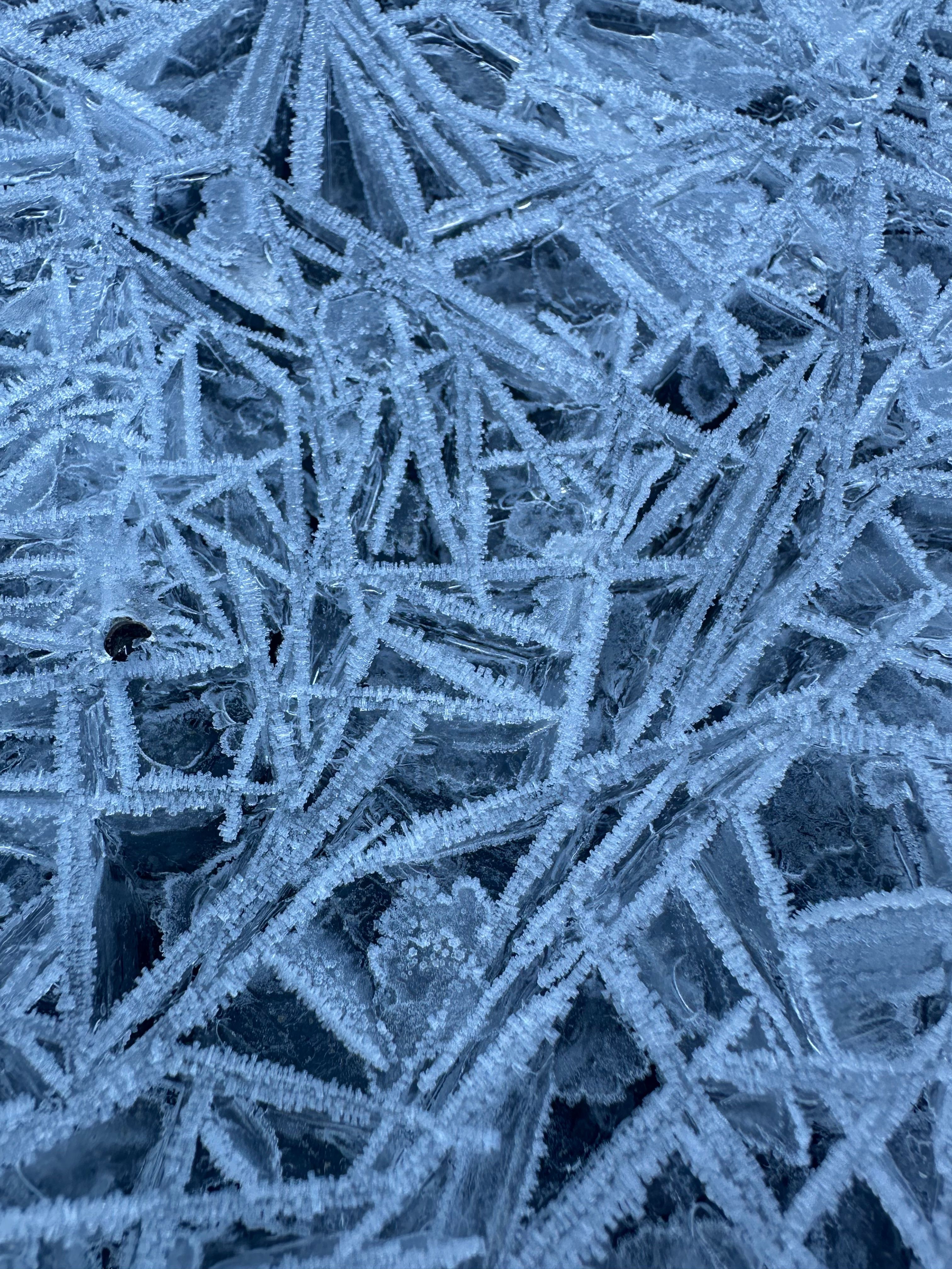 Teams Winter Background Photos, Download The BEST Free Teams Winter ...