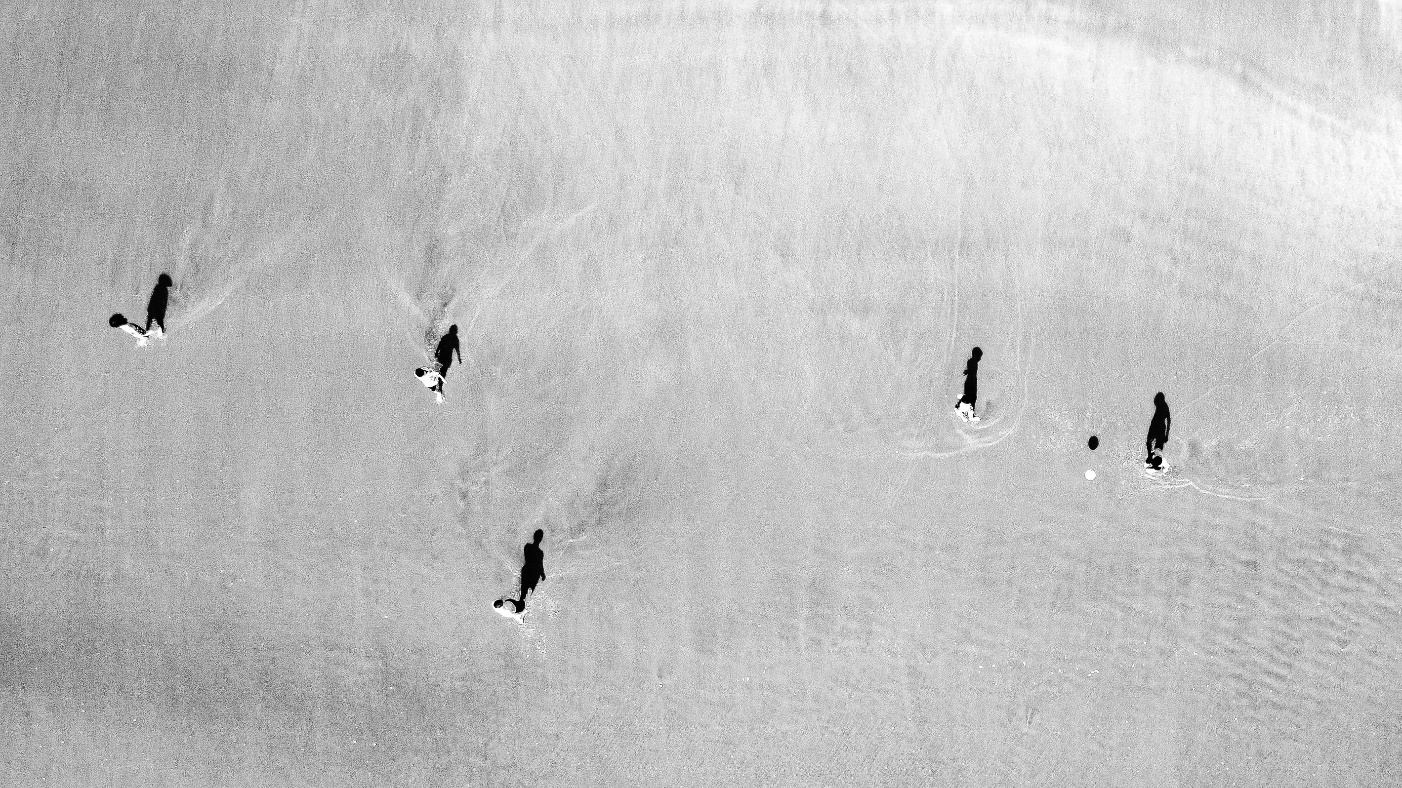 Monochrome Beach Scene with Human Silhouettes · Free Stock Photo