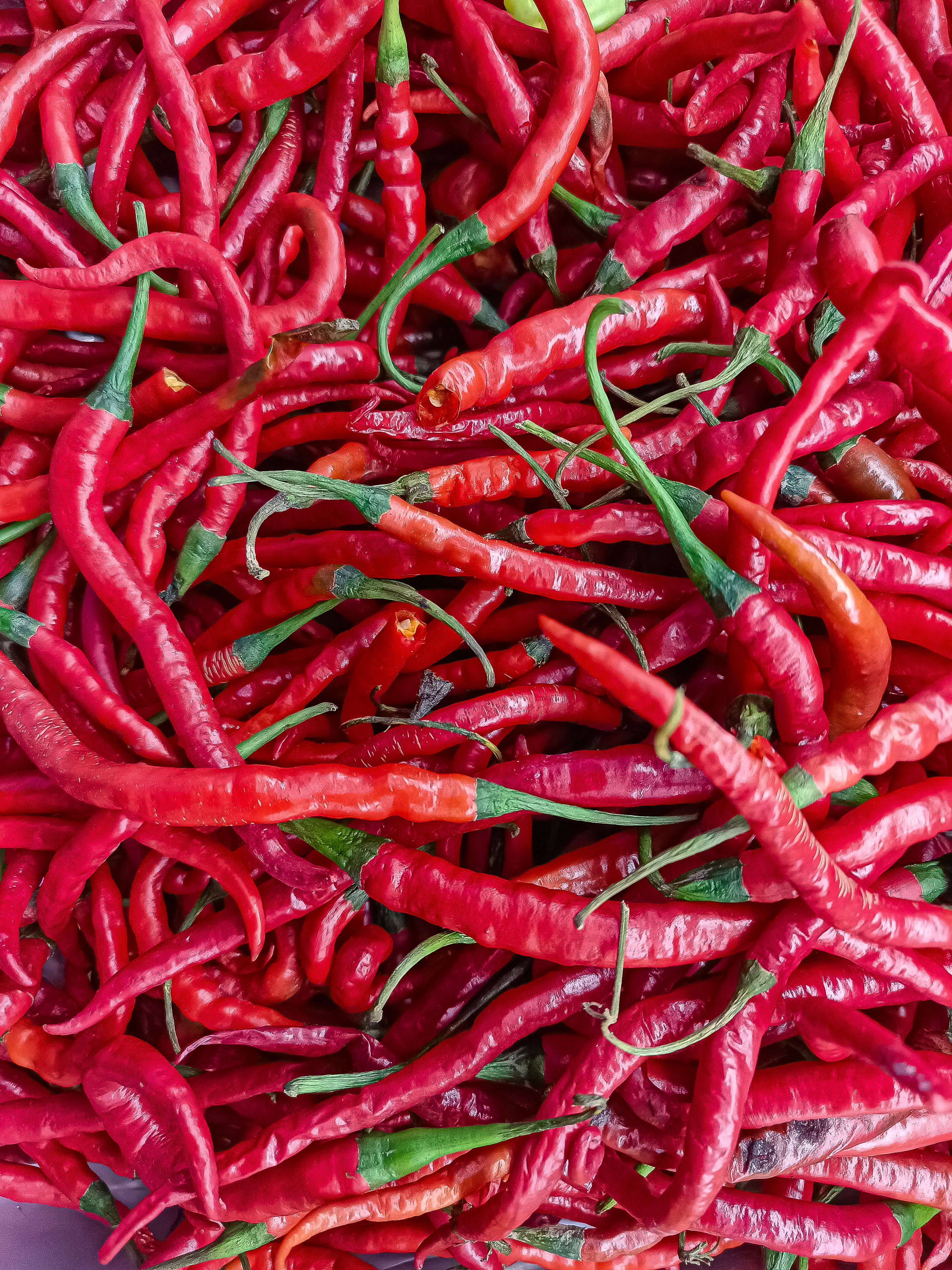 Vibrant Red Chilies Fresh from the Market · Free Stock Photo
