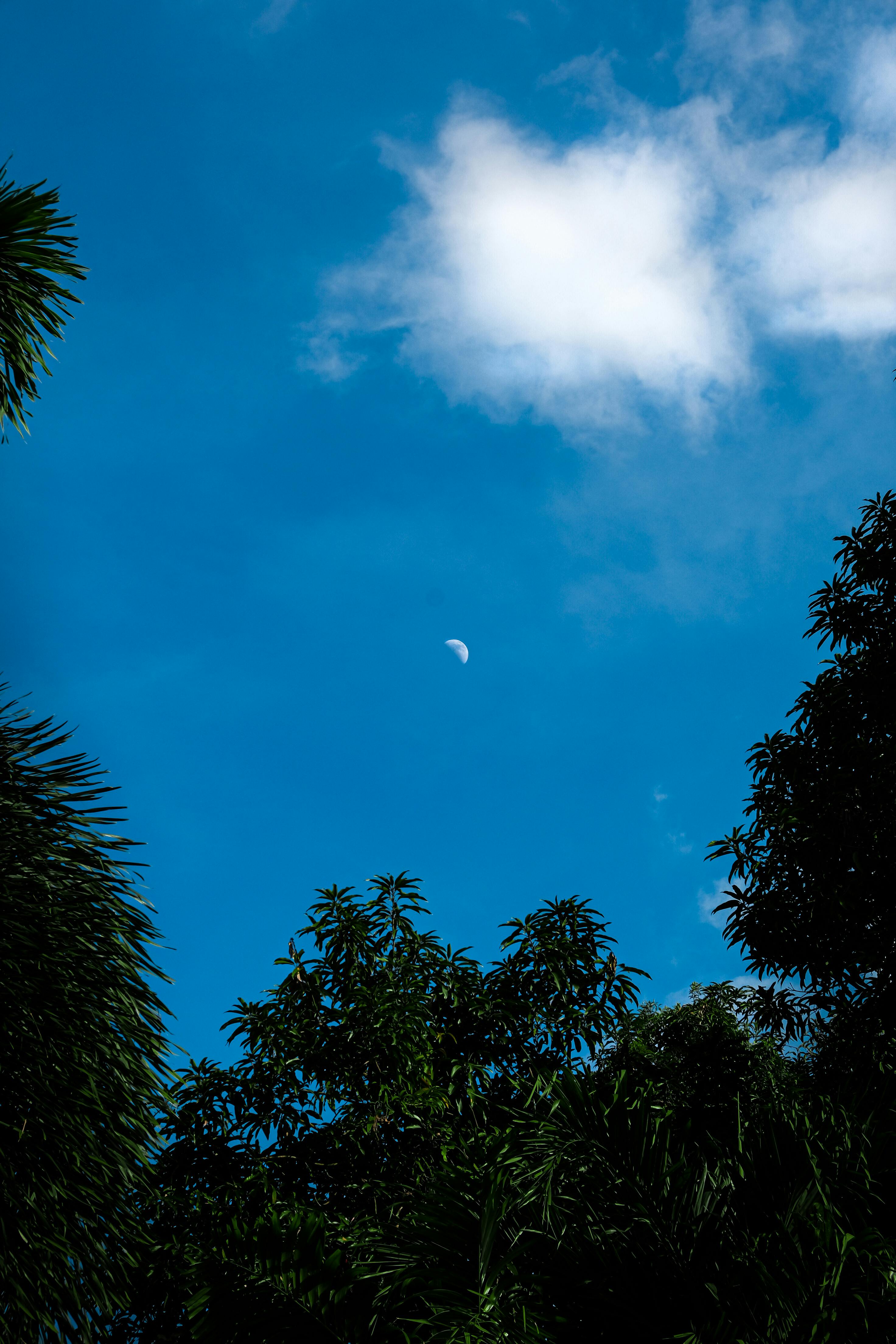 Thailand+Rare+Earth Photos, Download The BEST Free Thailand+Rare+Earth ...