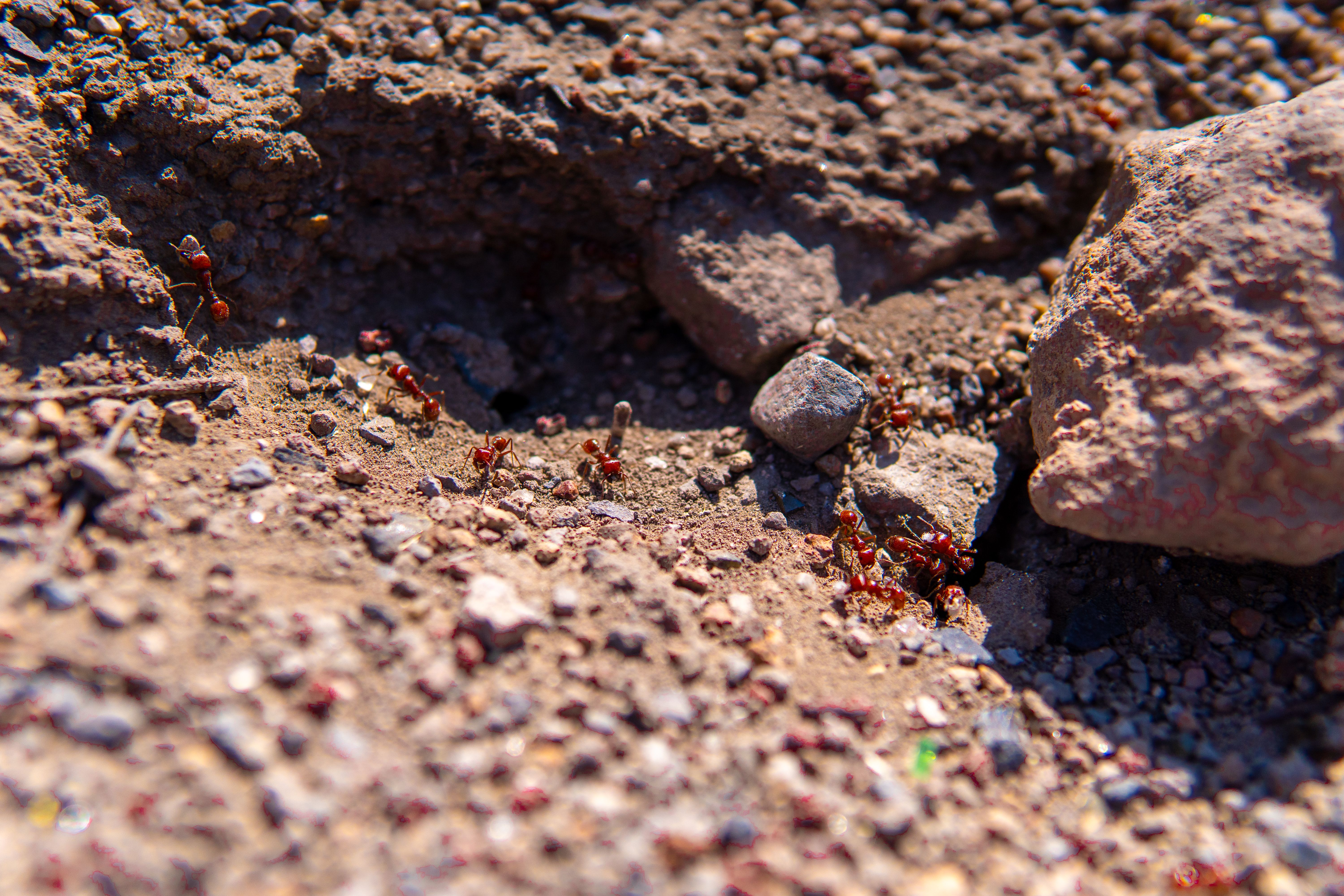 Lens Dirt Texture Photos, Download The BEST Free Lens Dirt Texture ...