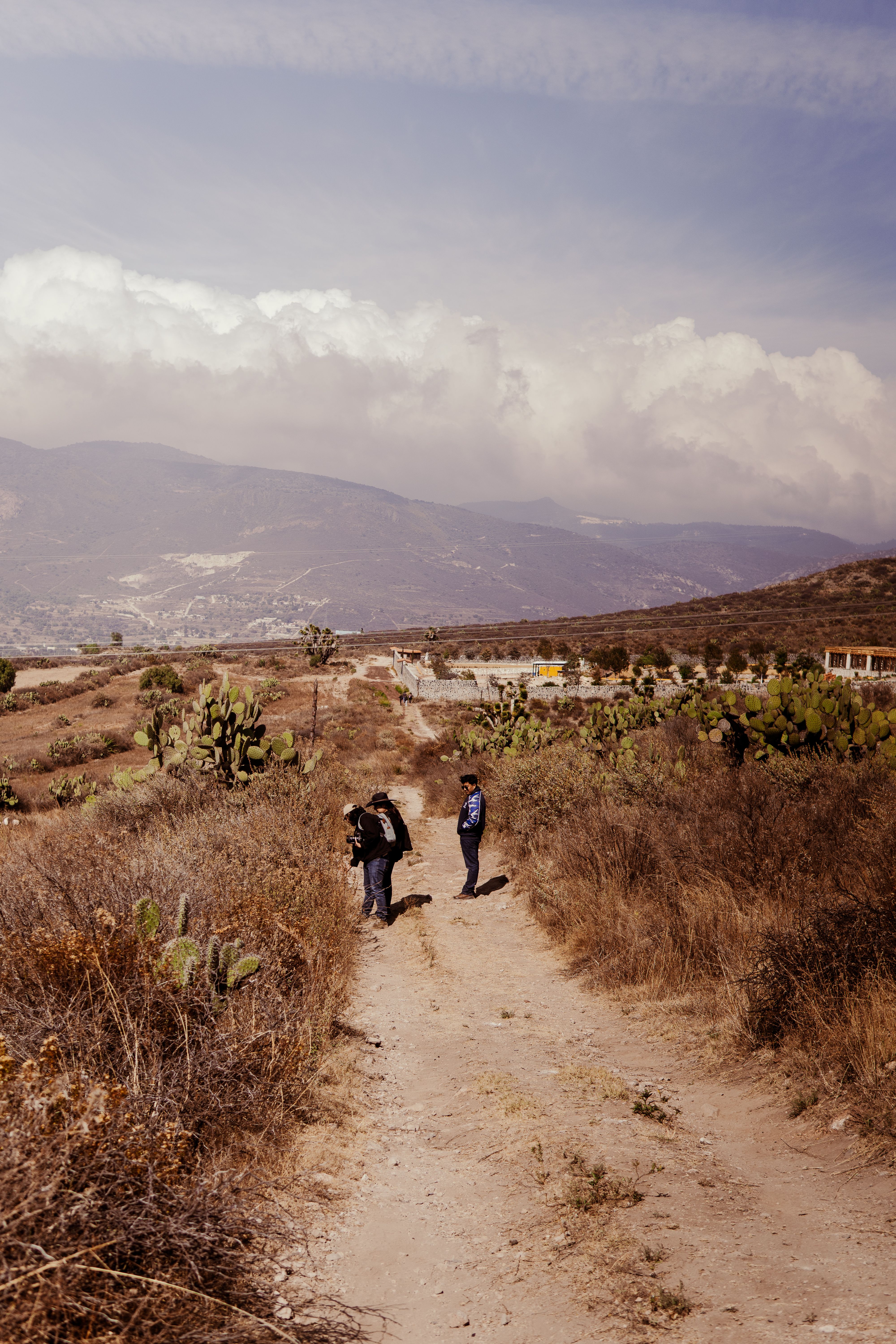 Migration Photos, Download The BEST Free Migration Stock Photos & HD Images