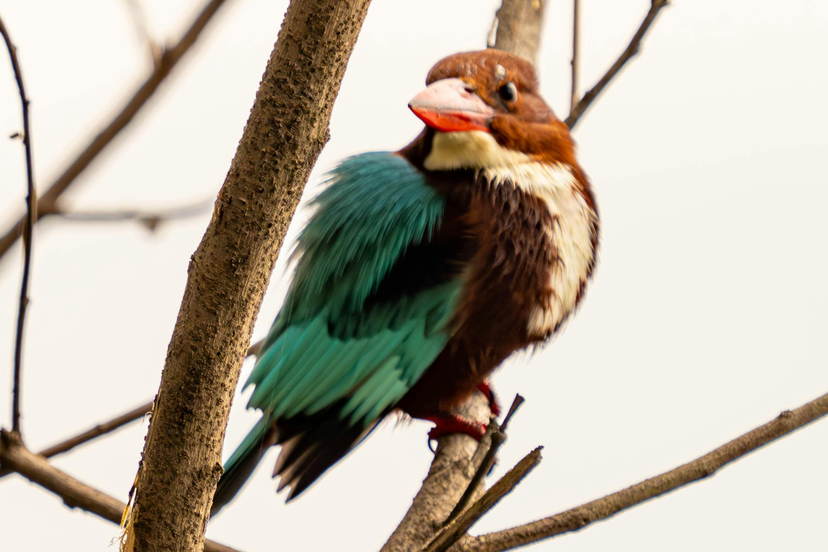 Kunal Sharma – Fotografia