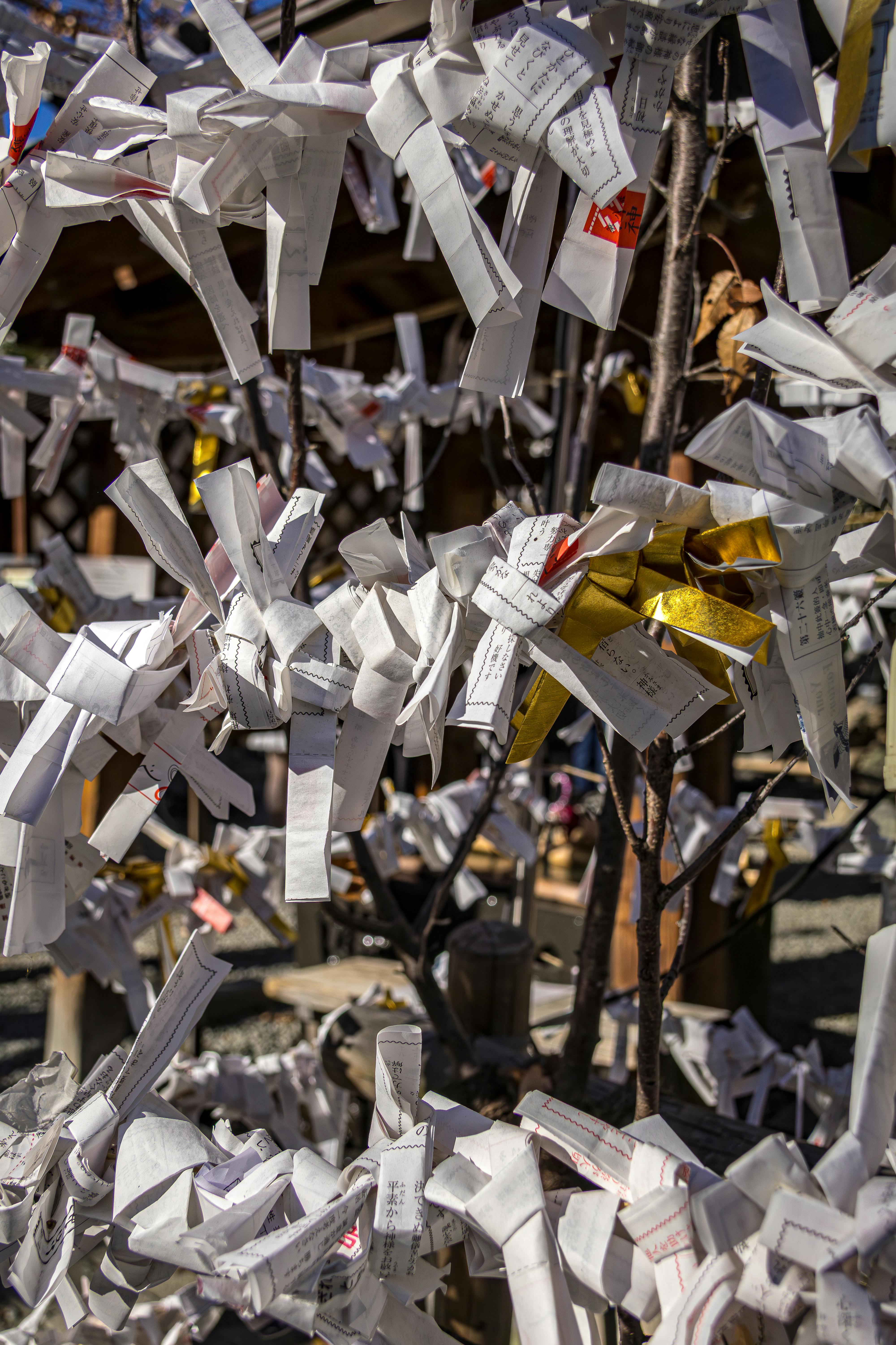 "Deputy+Reeve"+For+Twenty+Years Photos, Download The BEST Free "Deputy ...