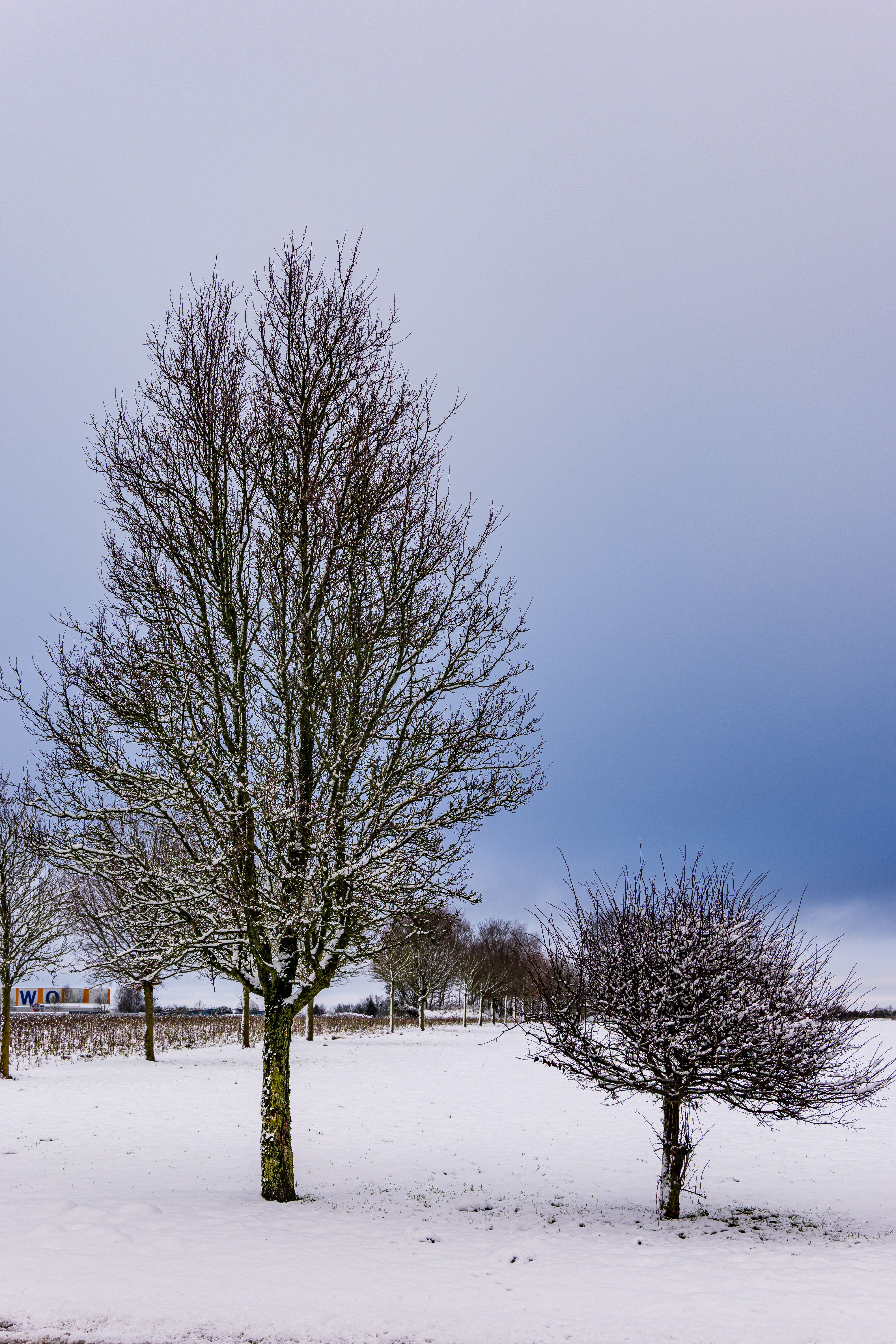 70,000+ Best Winter Pictures · 100% Free Download Winter Images ...