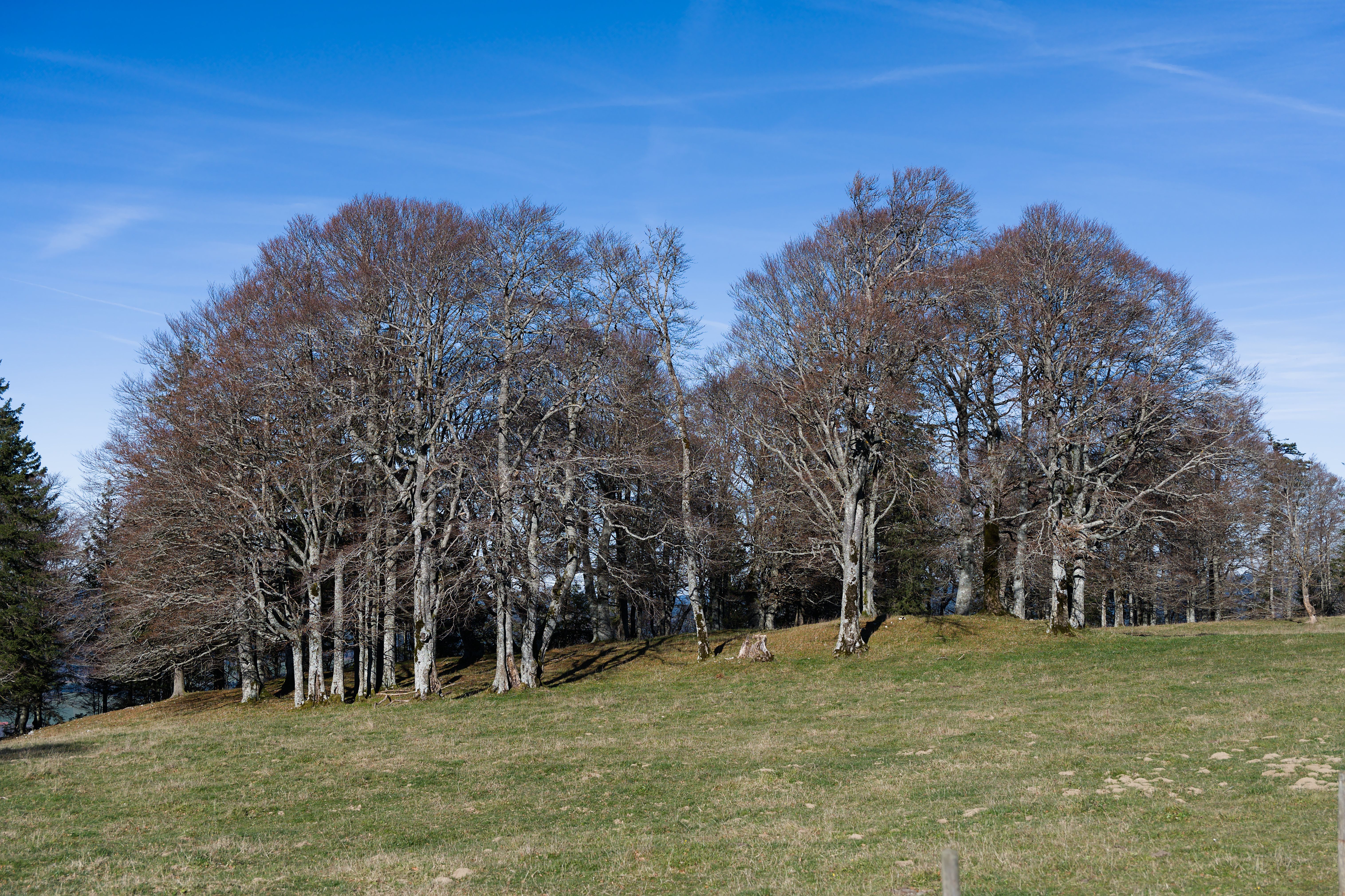 Clean Air Photos, Download The BEST Free Clean Air Stock Photos & HD Images