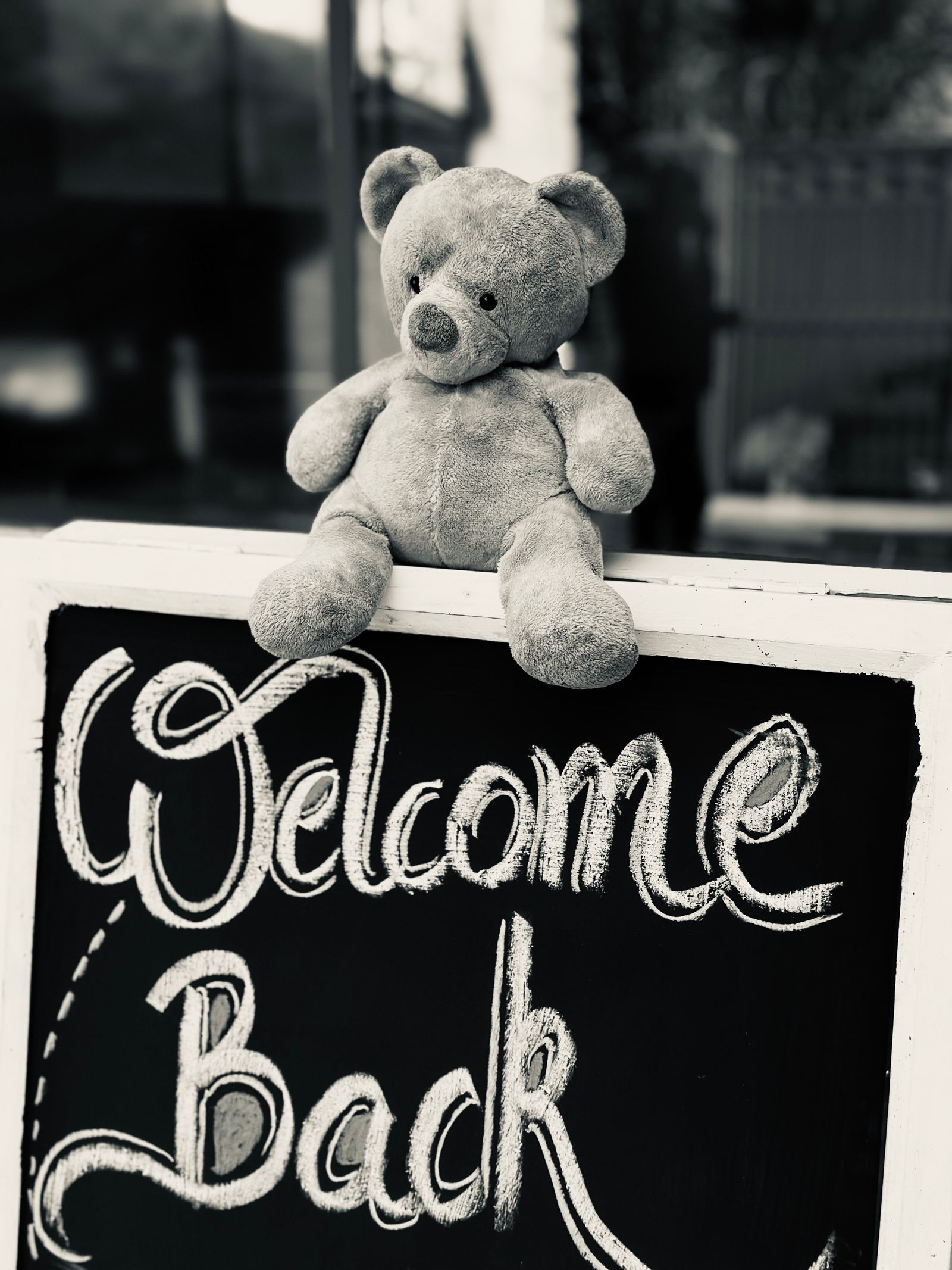 Cute Welcome Photos, Download The BEST Free Cute Welcome Stock Photos ...