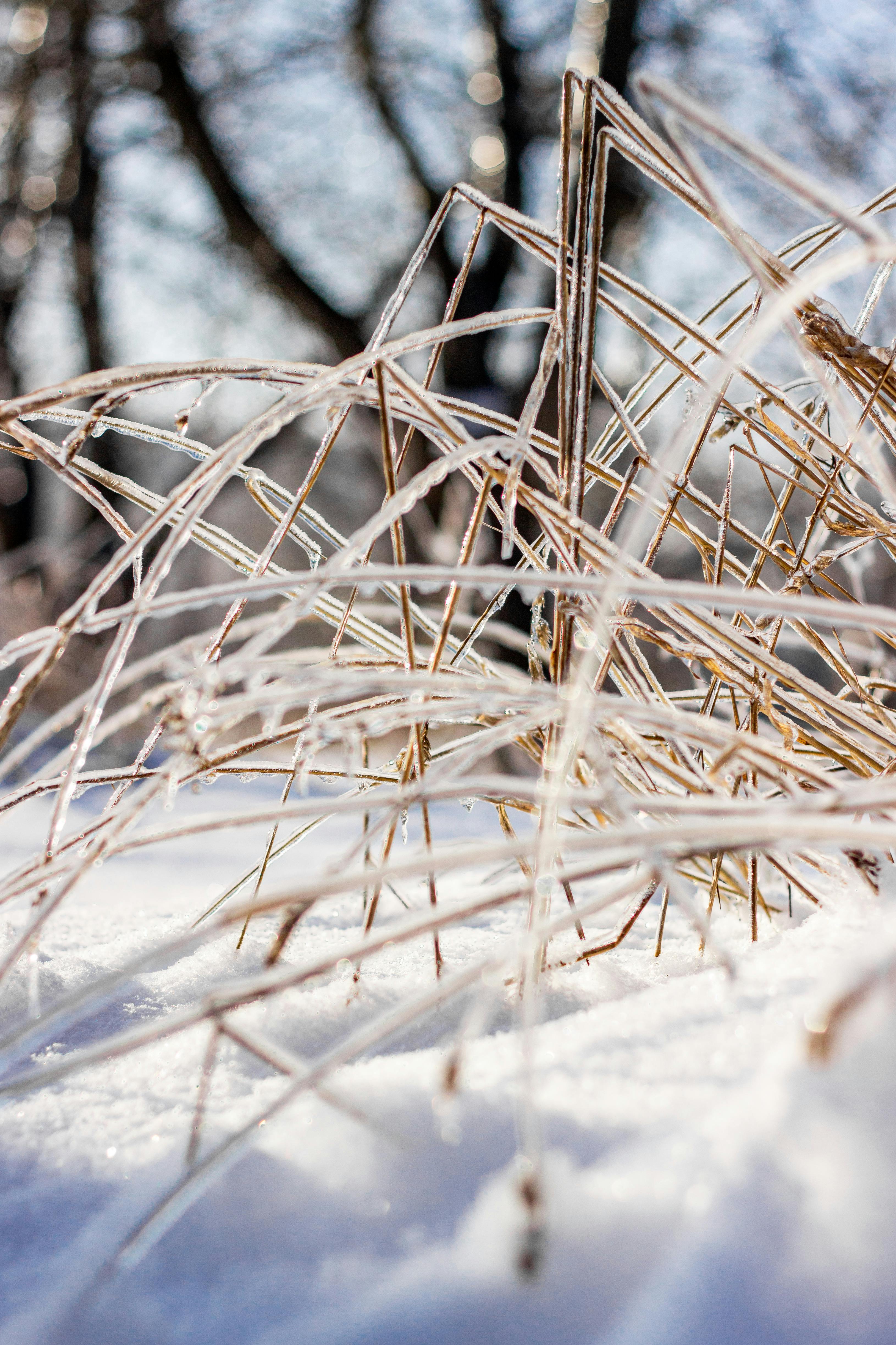 Найкращі фото (100 000+) за запитом «Xxxxxxxxxxz Wallpaper ...