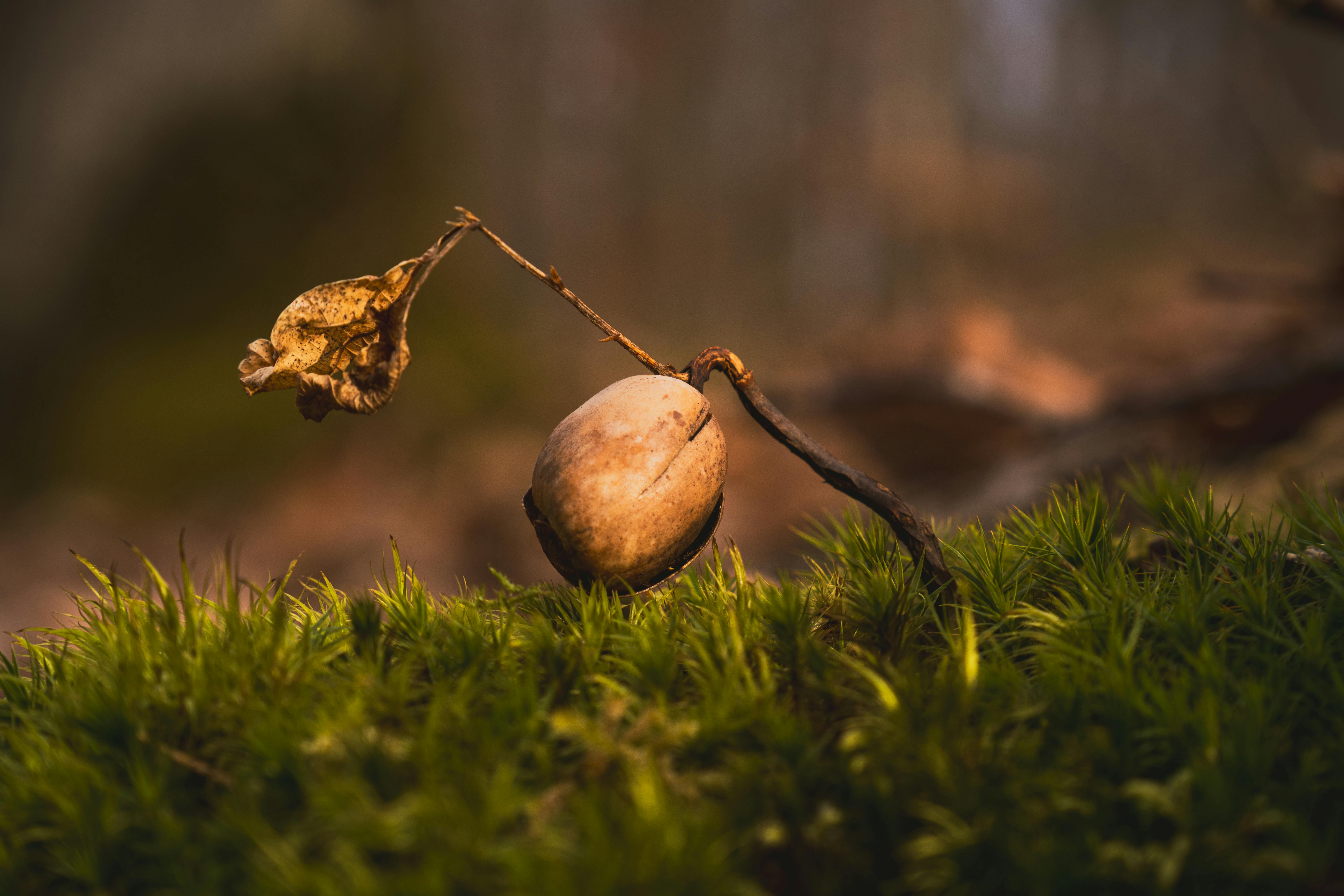 16:9 4k Wallpaper Zendeya Photos, Download The BEST Free 16:9 4k ...