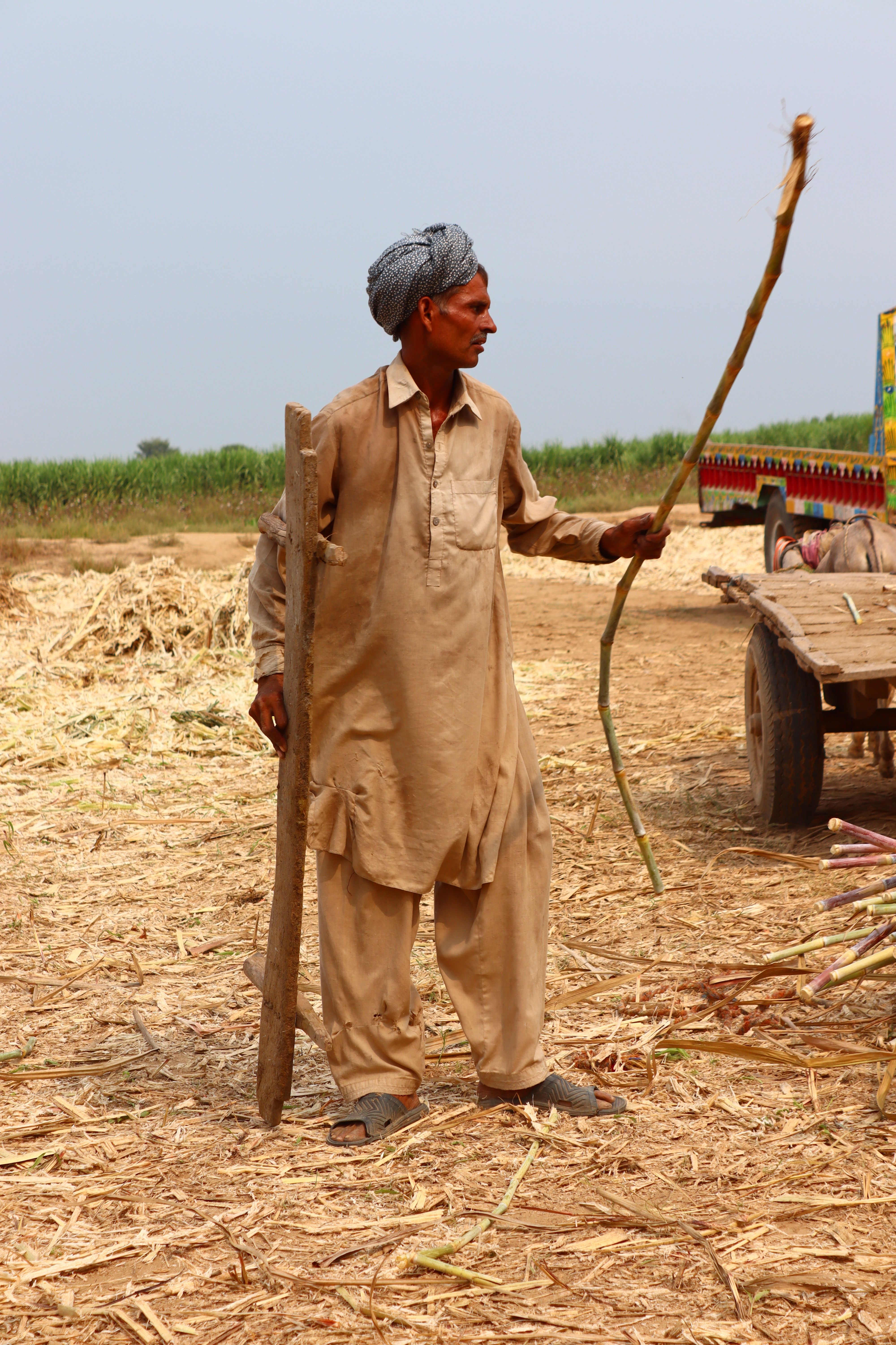 Farmer Working In The Field Photos, Download The BEST Free Farmer ...