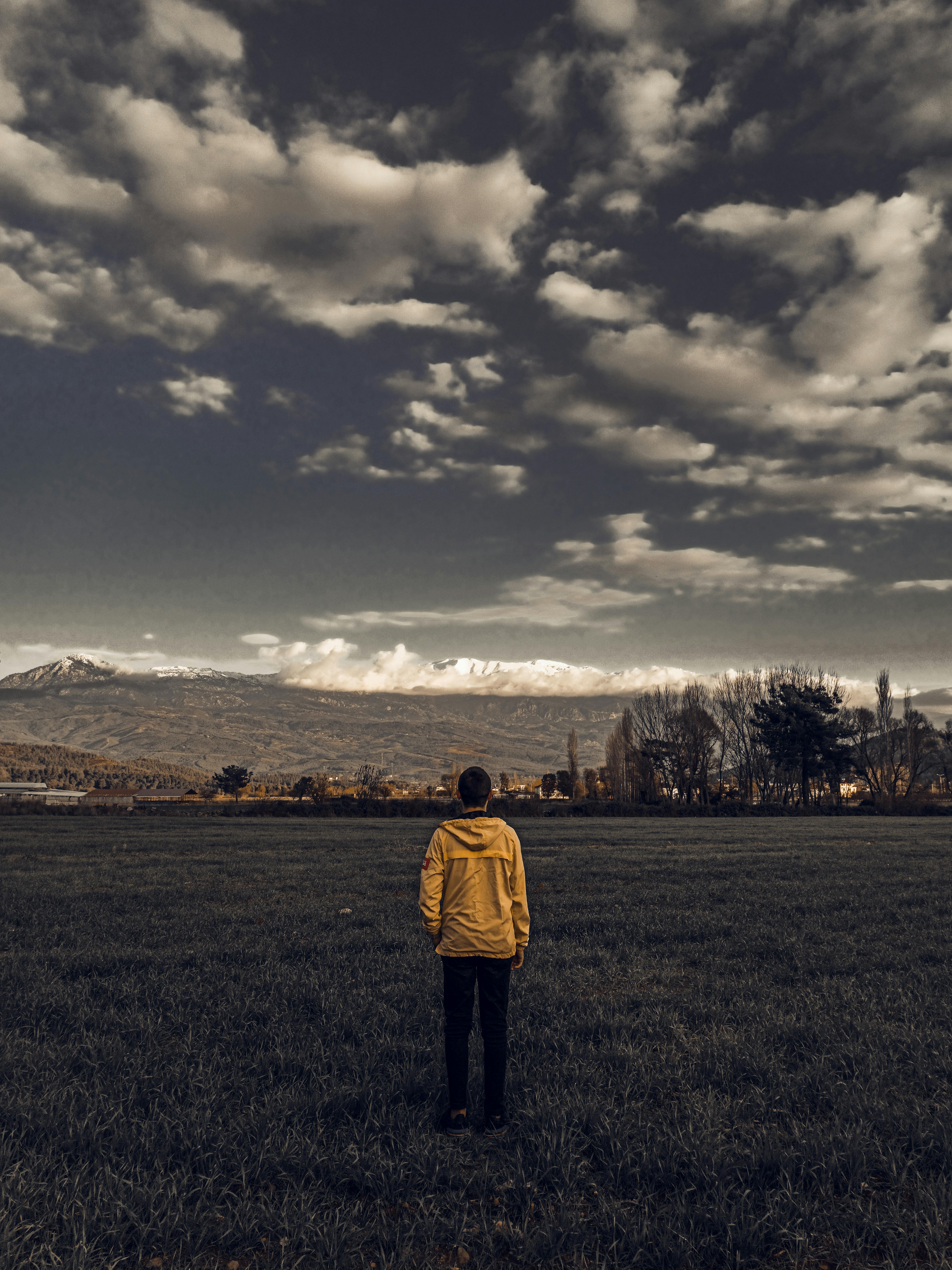 Man Standing on Grass Field · Free Stock Photo