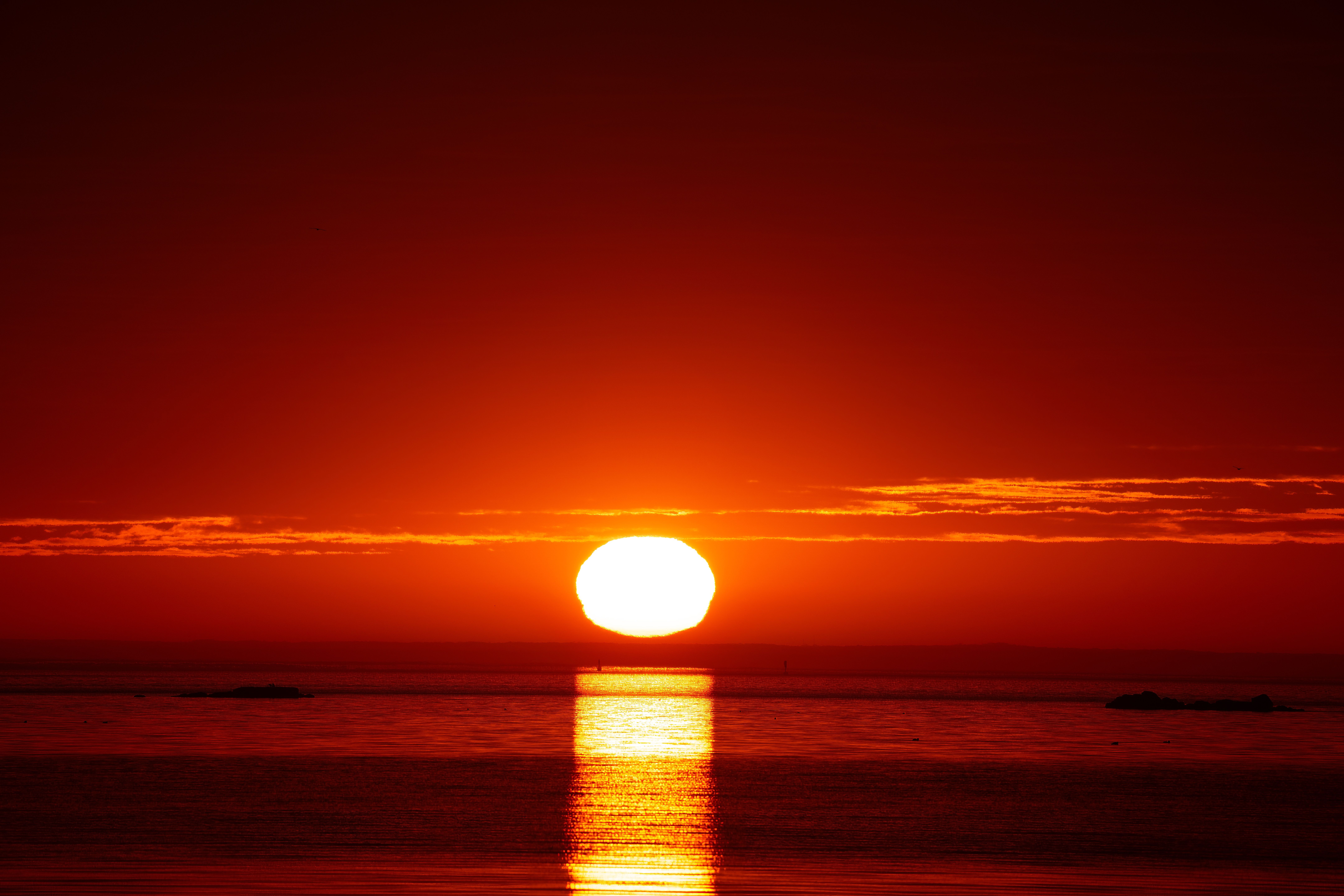 Stunning Orange Sunset Over Calm Ocean Waters · Free Stock Photo