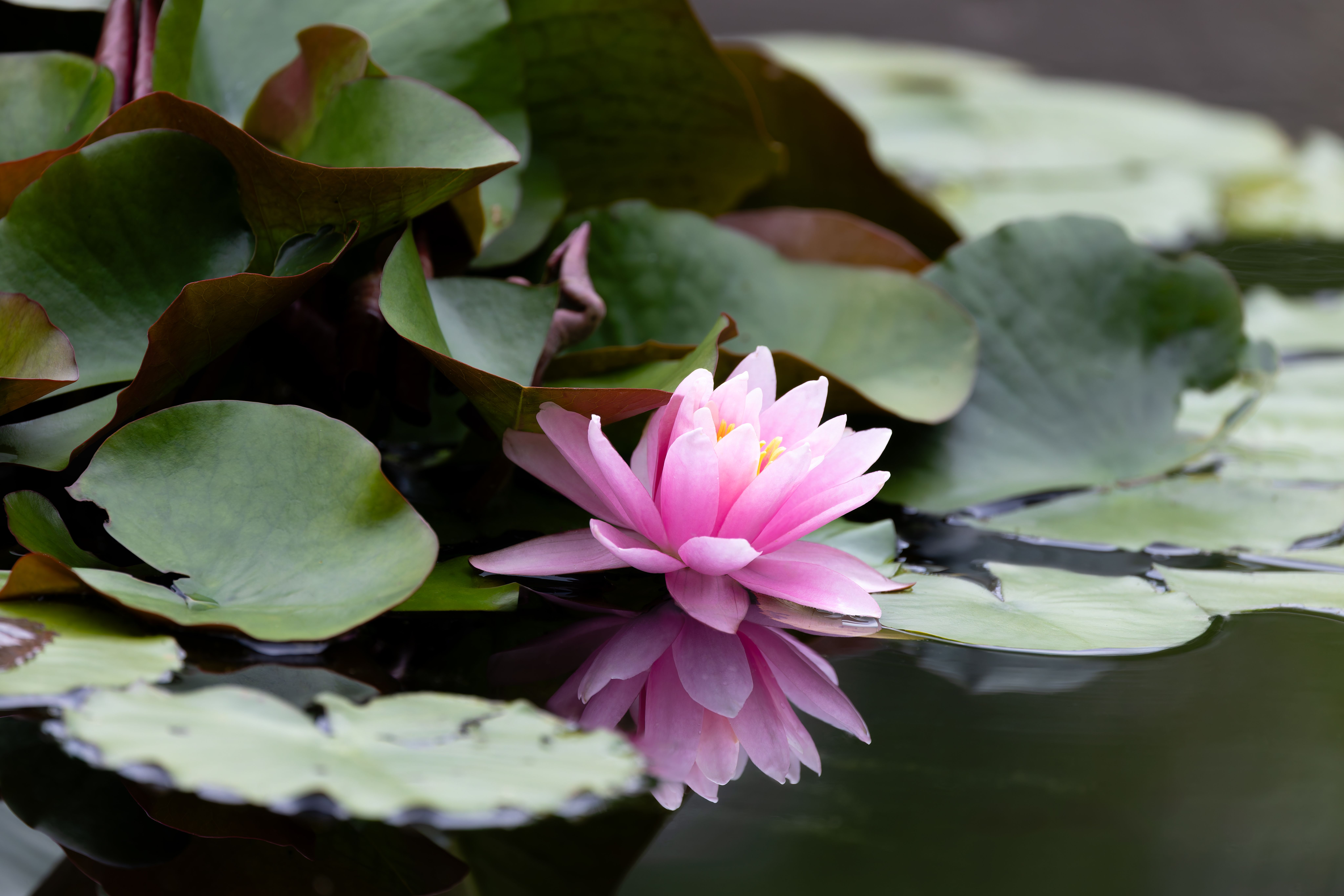 128x40+Images Photos, Download The BEST Free 128x40+Images Stock Photos ...