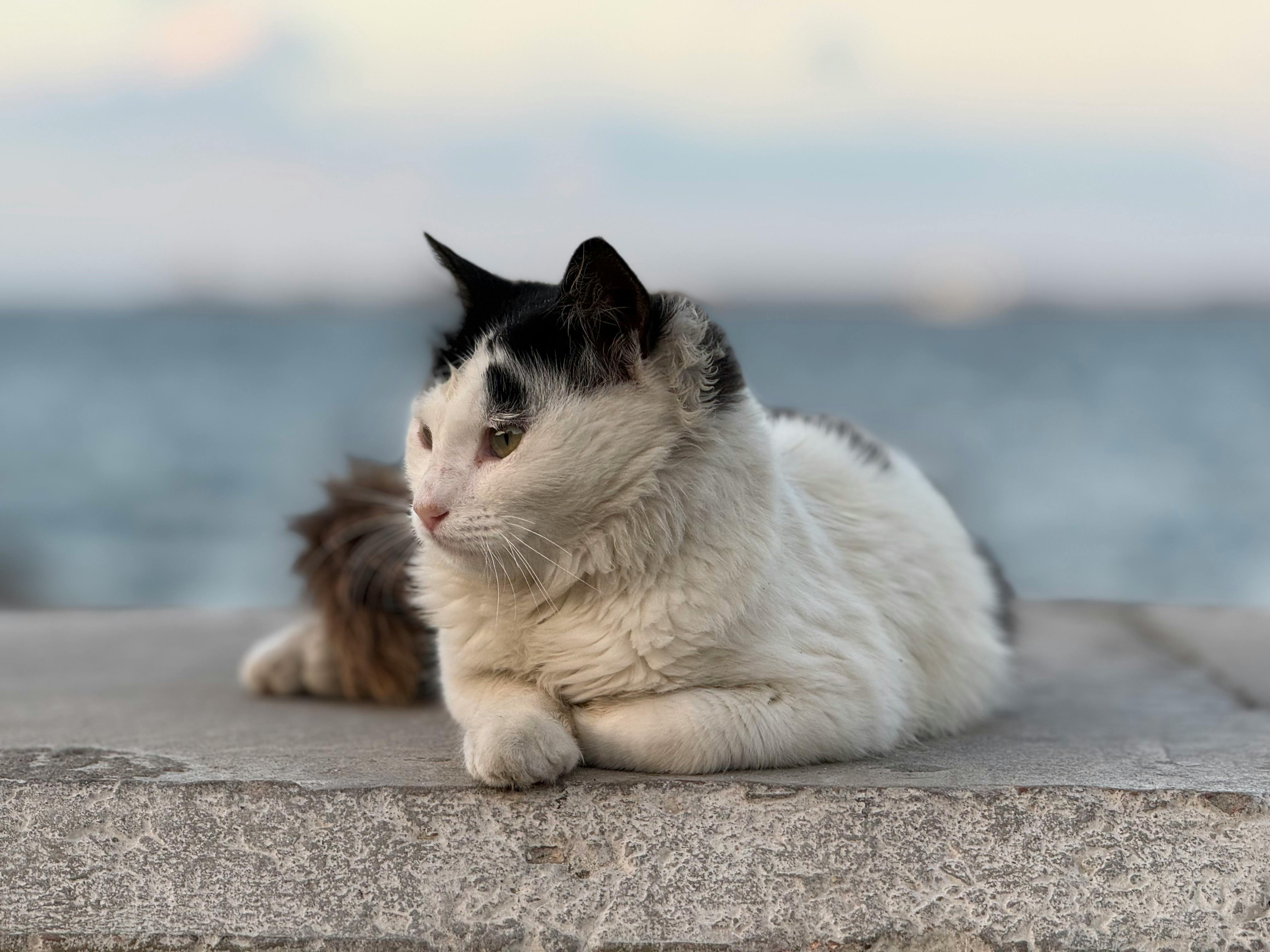 Nature Greatest Spots Photos, Download The BEST Free Nature Greatest ...