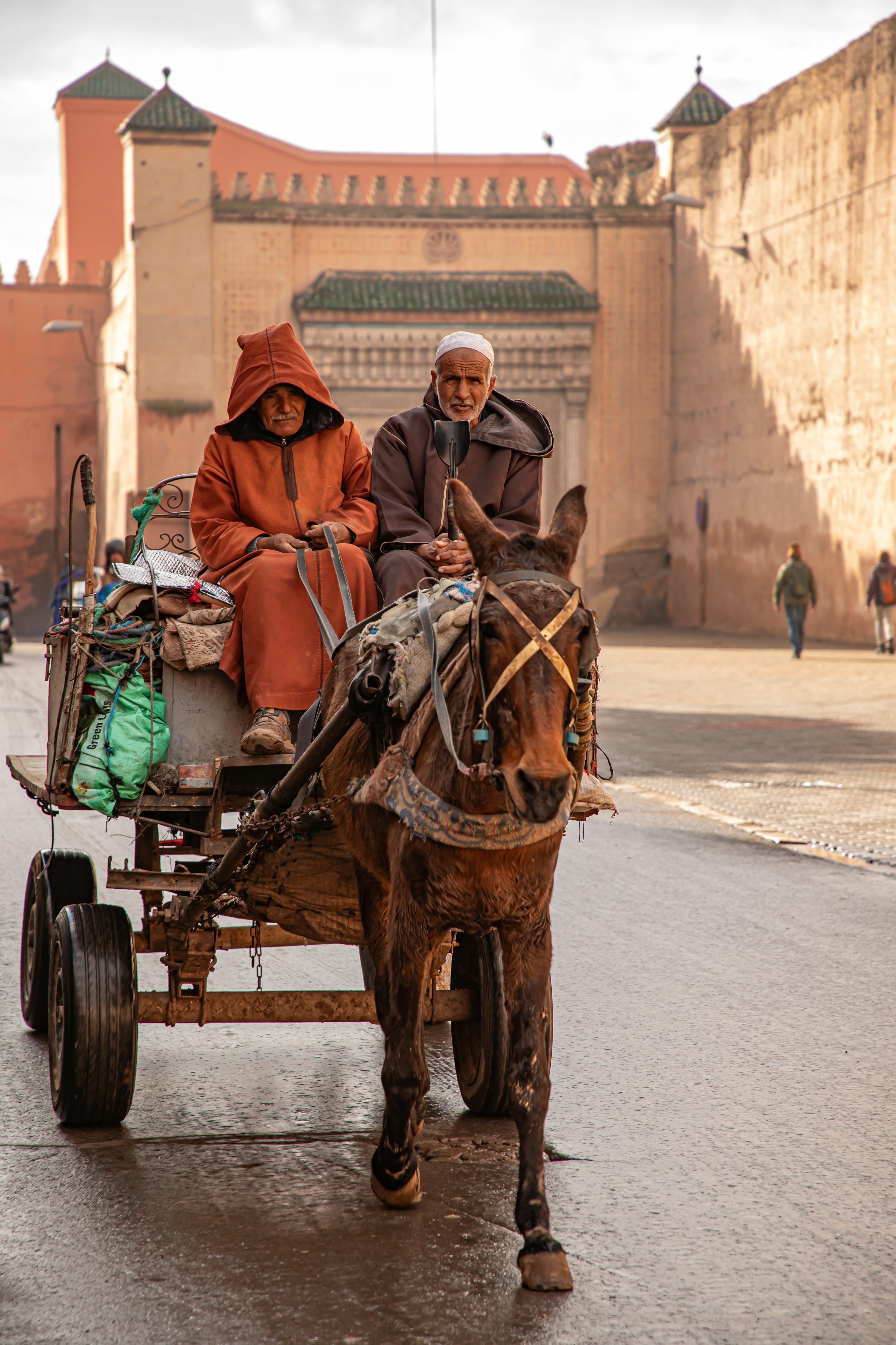 Traditional Horse Cart in Marrakesh Morocco · Free Stock Photo