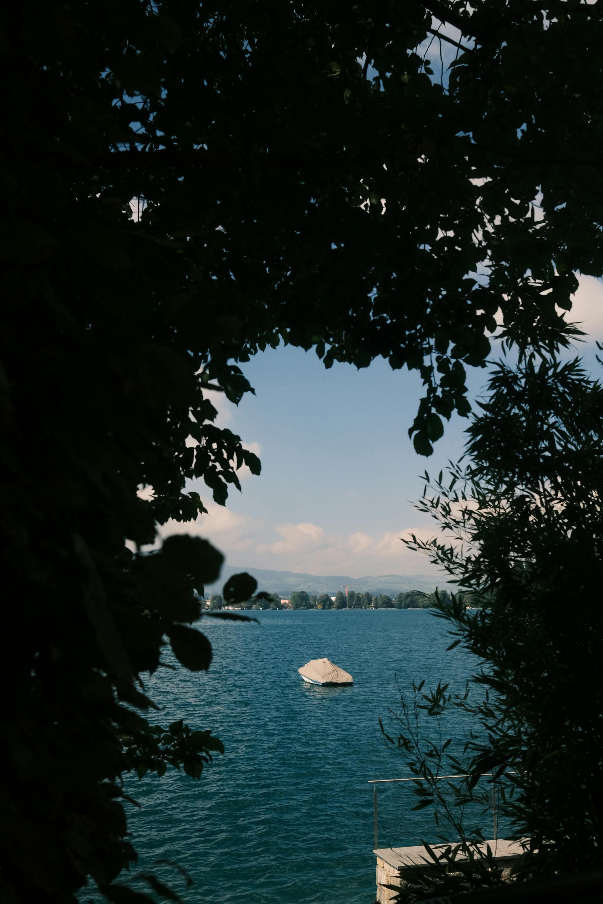 Scenic Lakeside View Framed by Lush Foliage · Free Stock Photo