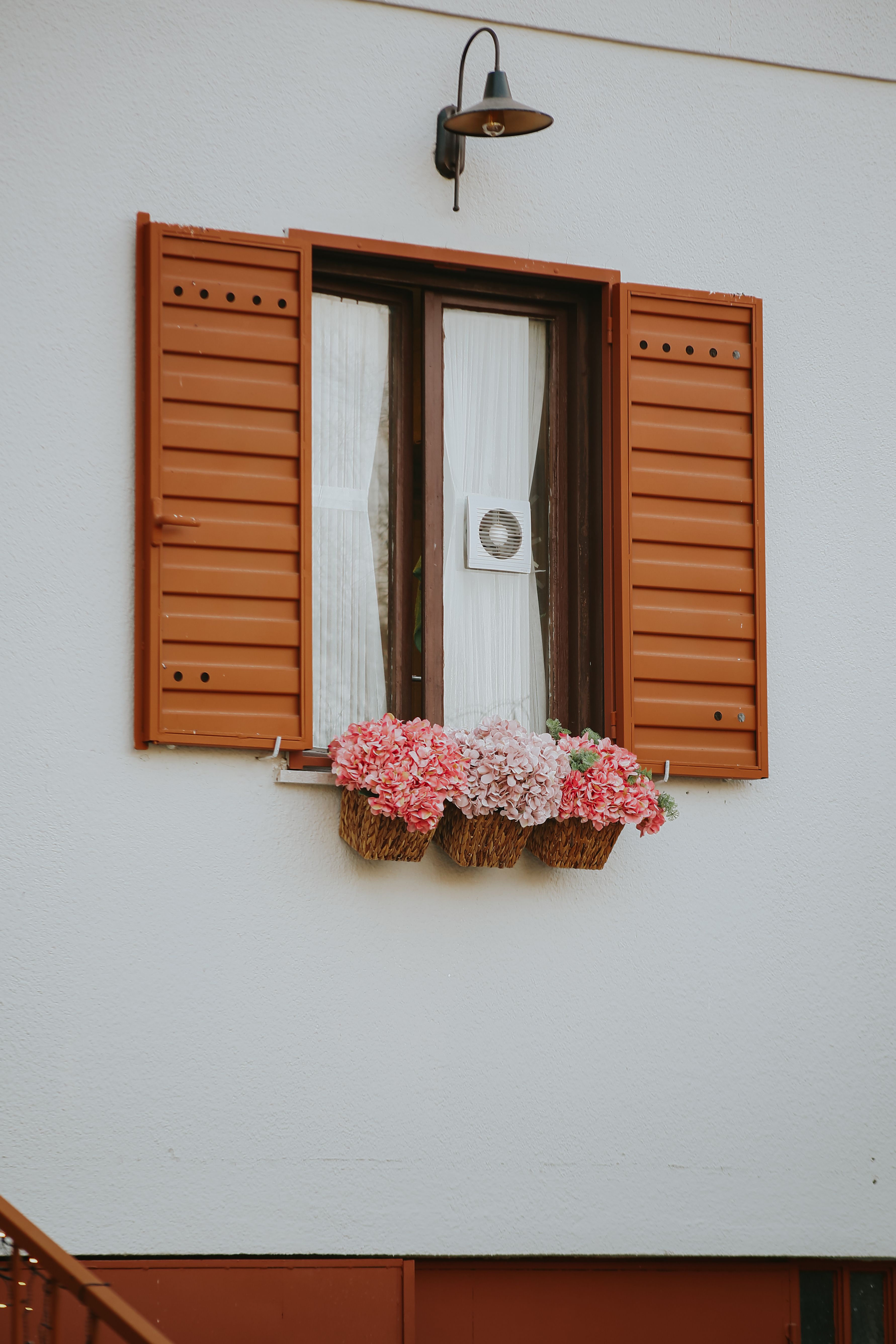 Charming Window with Hydrangea Planters · Free Stock Photo