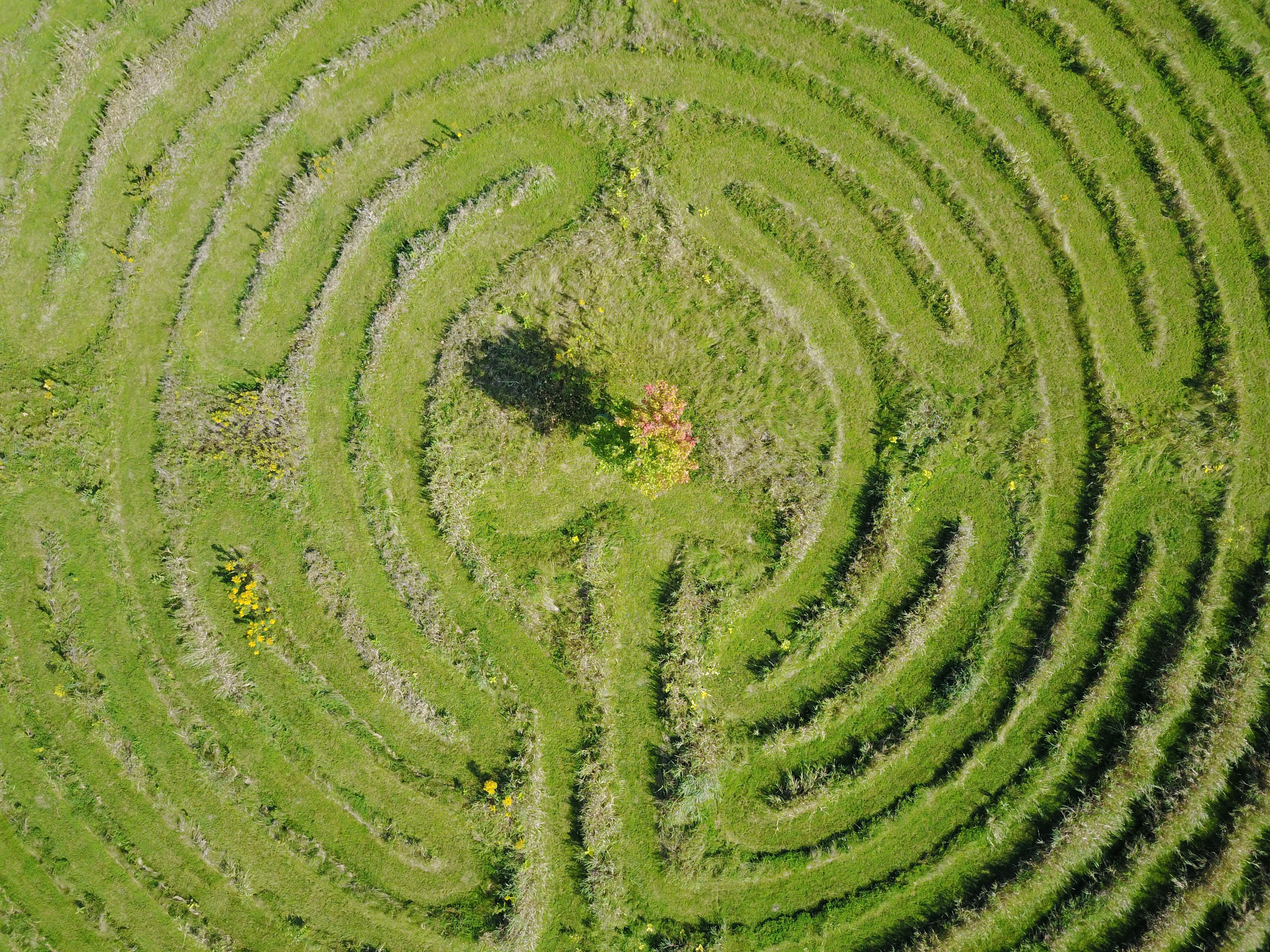 Aerial View of Green Labyrinth in Minnesota · Free Stock Photo