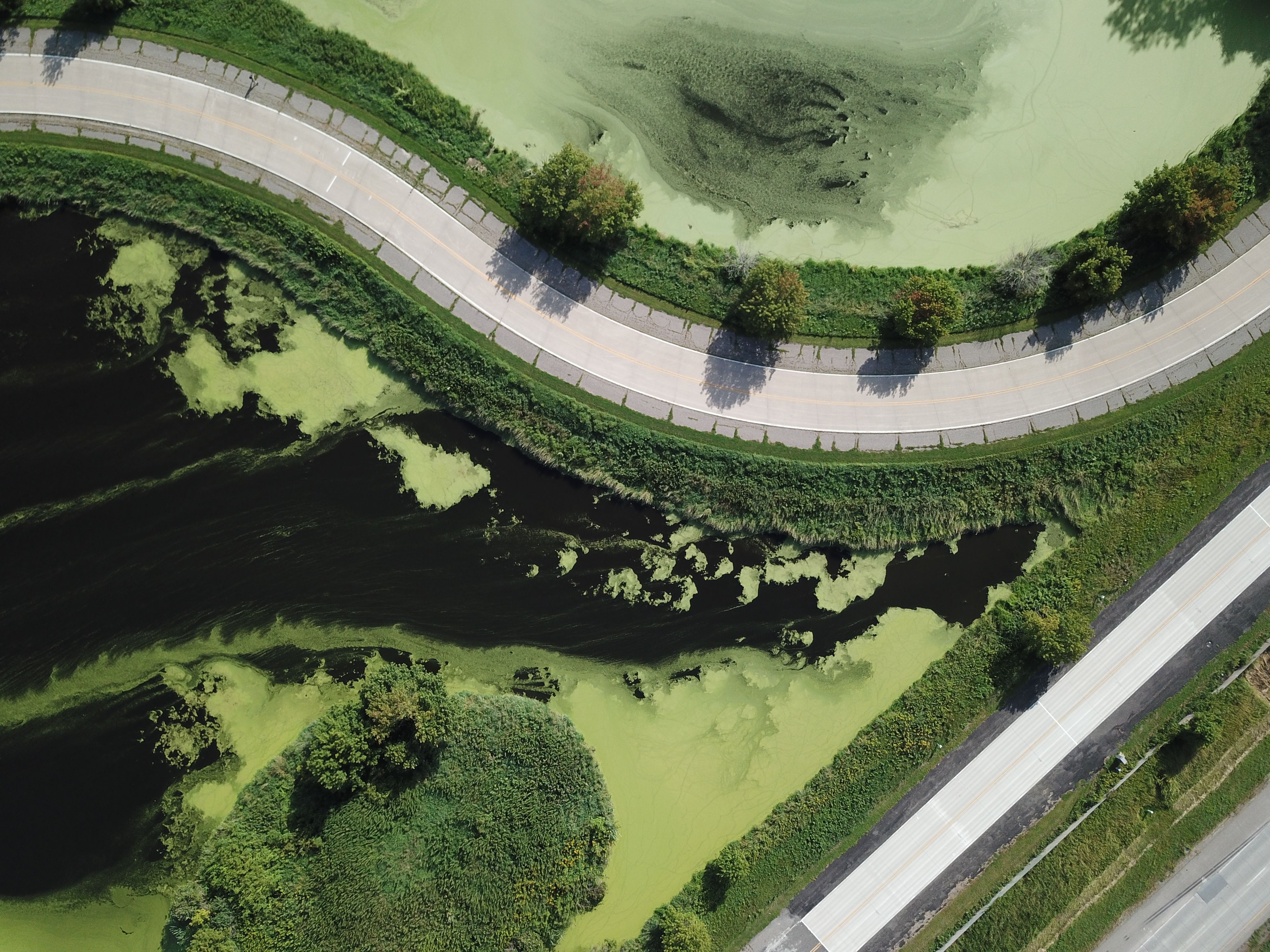 Aerial View of Curved Road by Green Ponds · Free Stock Photo