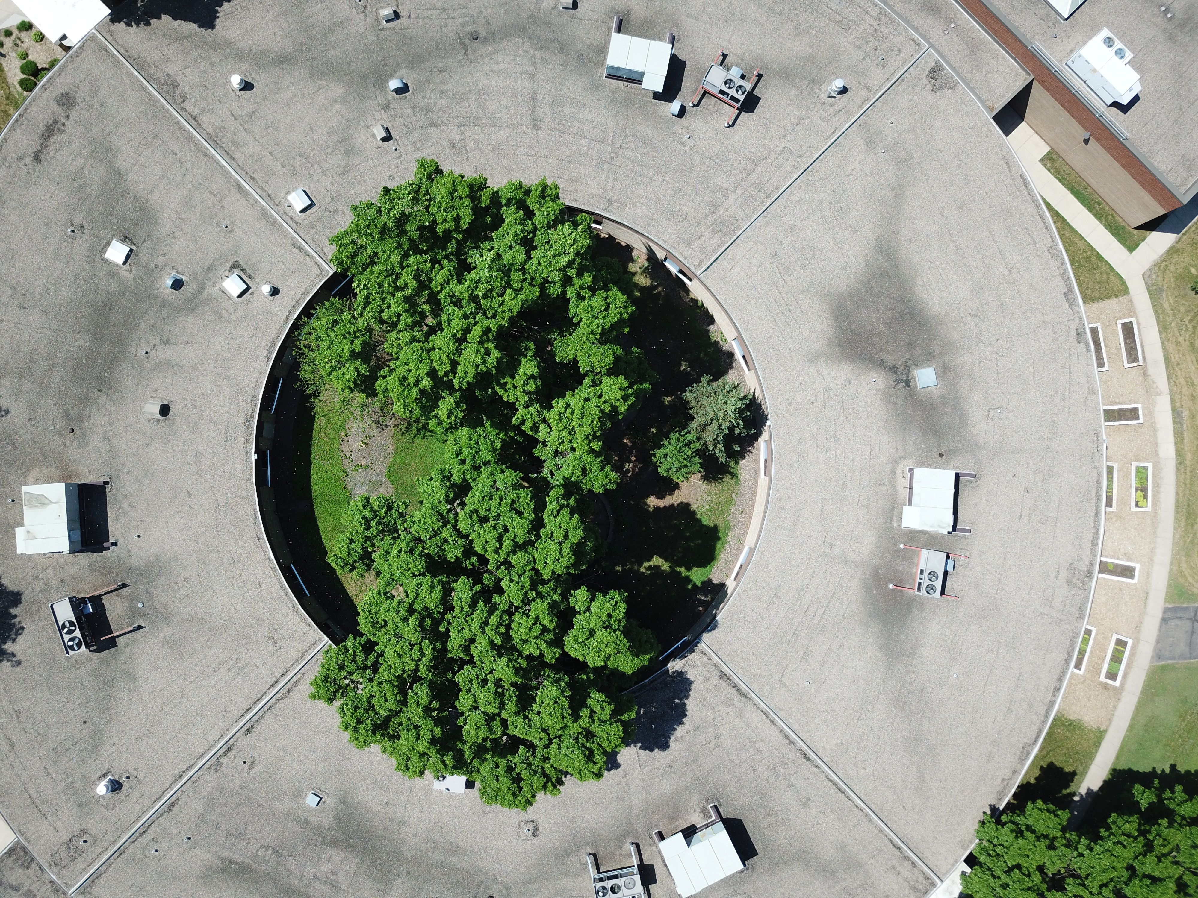 Aerial View of Circular Urban Landscape with Trees · Free Stock Photo