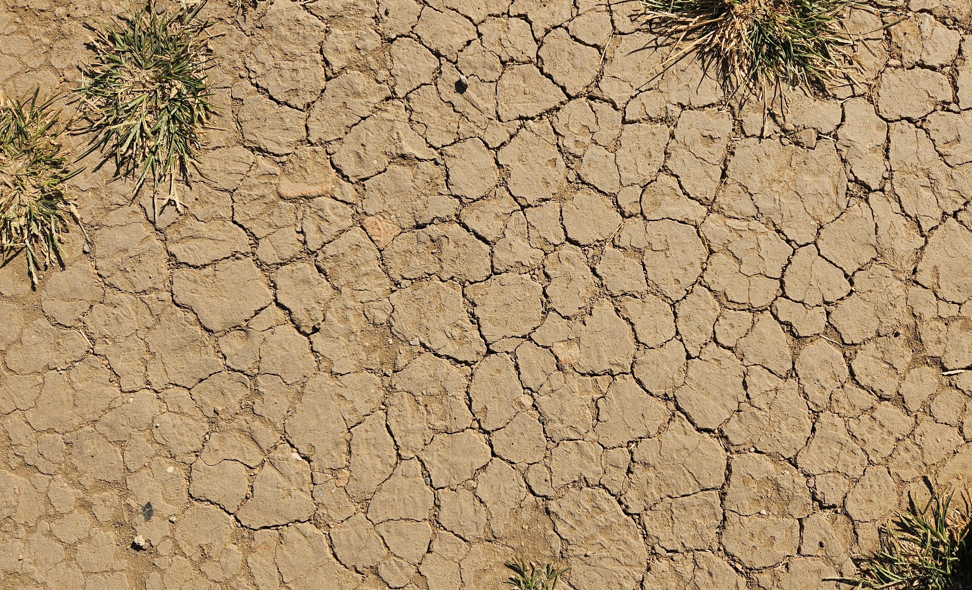 Aerial View of Cracked Desert Ground with Sparse Grass · Free Stock Photo