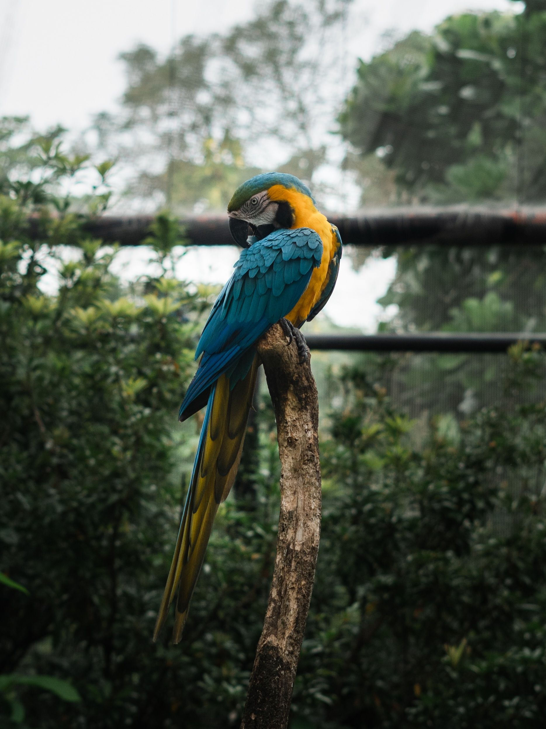 Foto de stock gratuita sobre @al aire libre, amazonas, ambiente ...