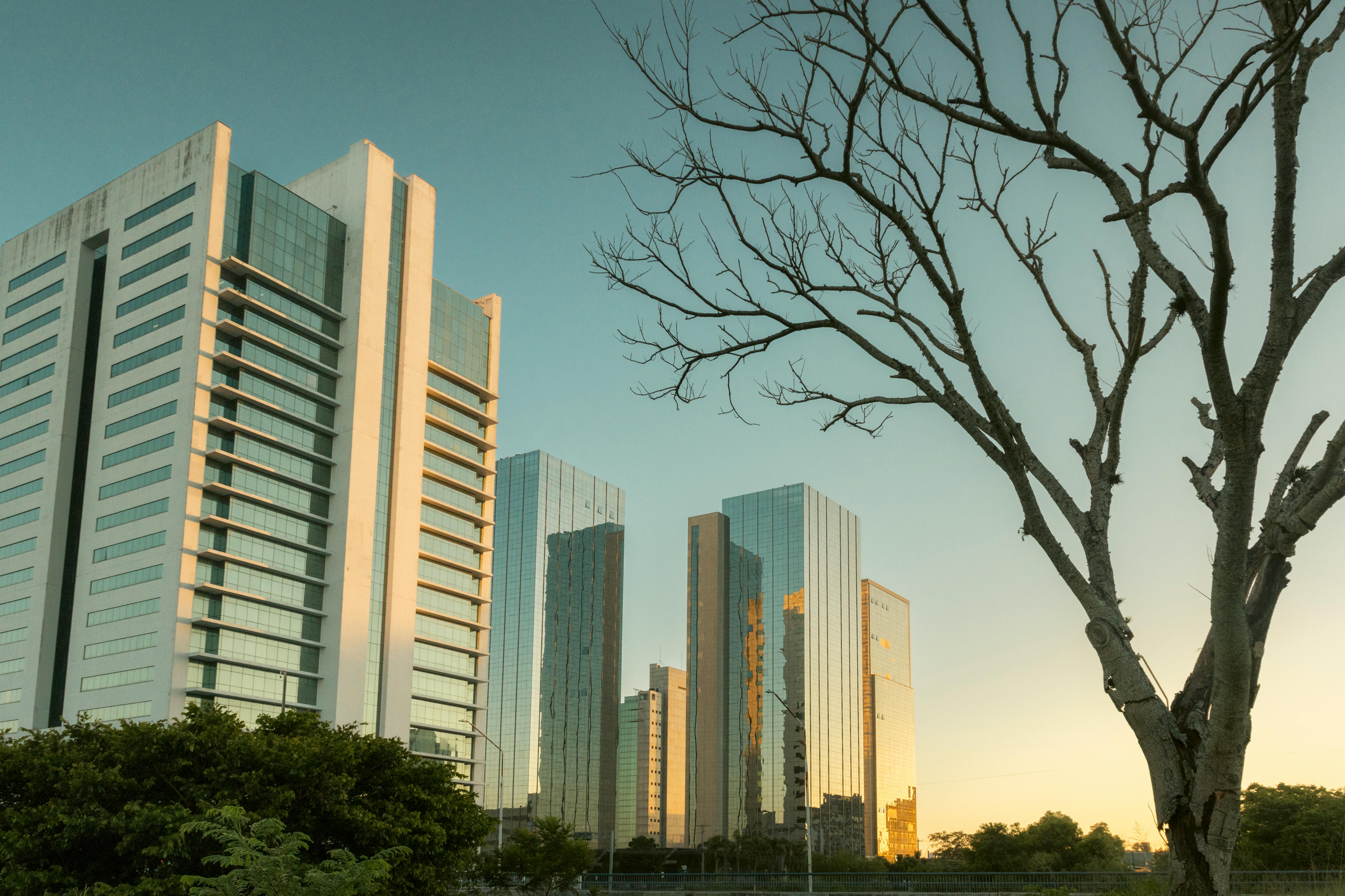 4.307+ Fotos y Imágenes de Velvet+(nikke)+nipples Gratis · Banco de ...