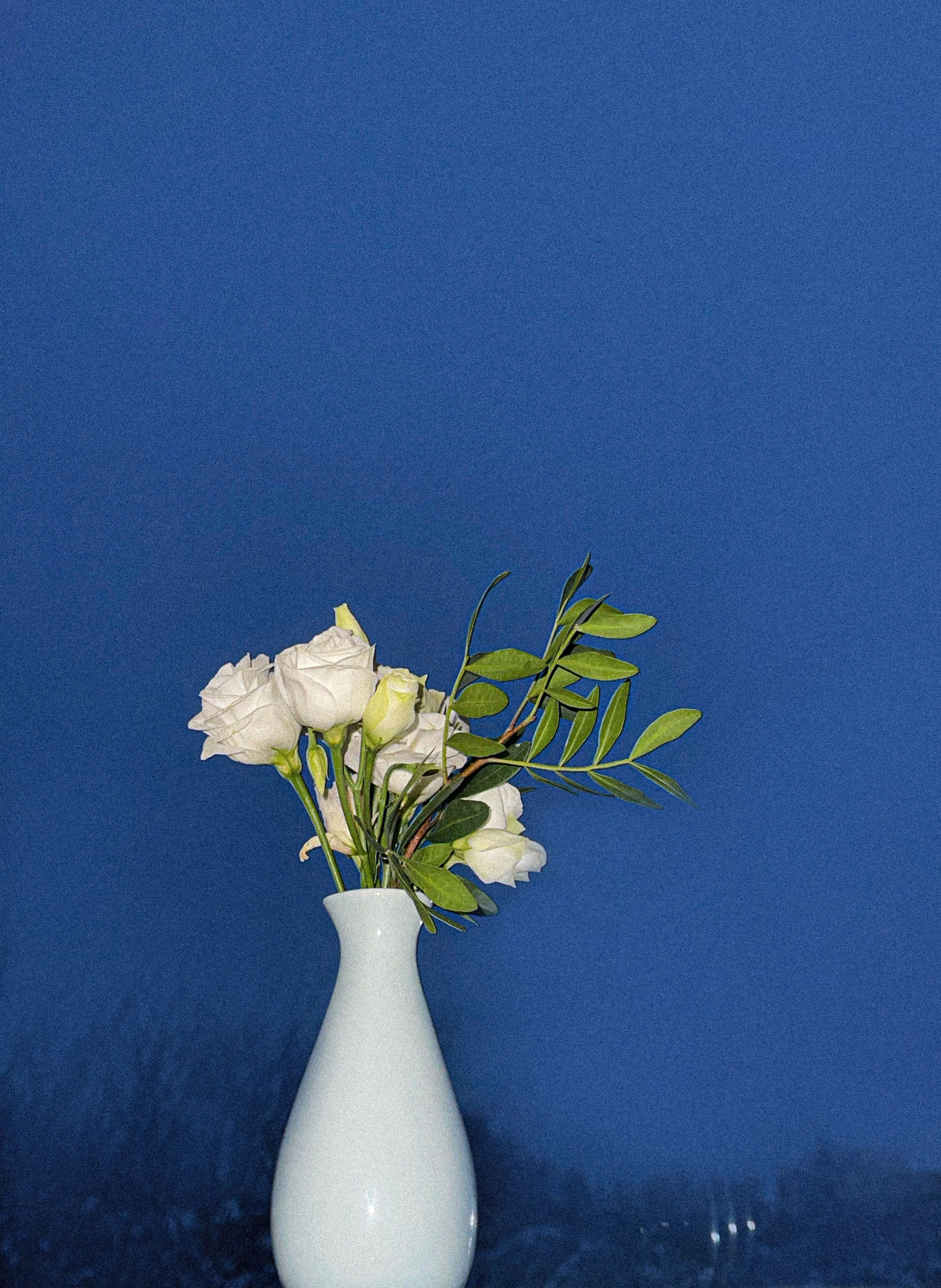 Powder Blue+Flowers Photos, Download The BEST Free Powder Blue+Flowers ...
