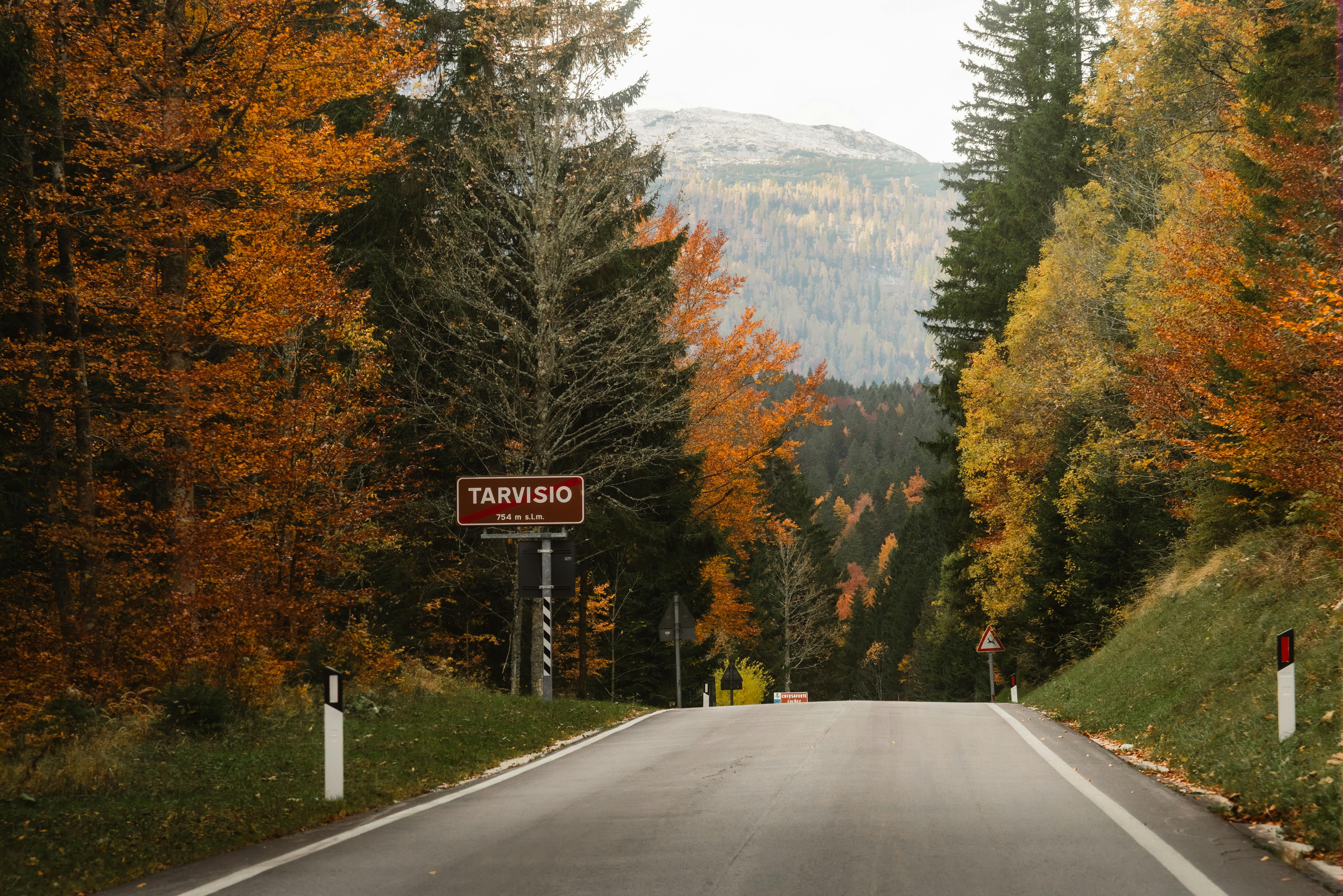 Scenic Road through Tarvisio in Autumn · Free Stock Photo