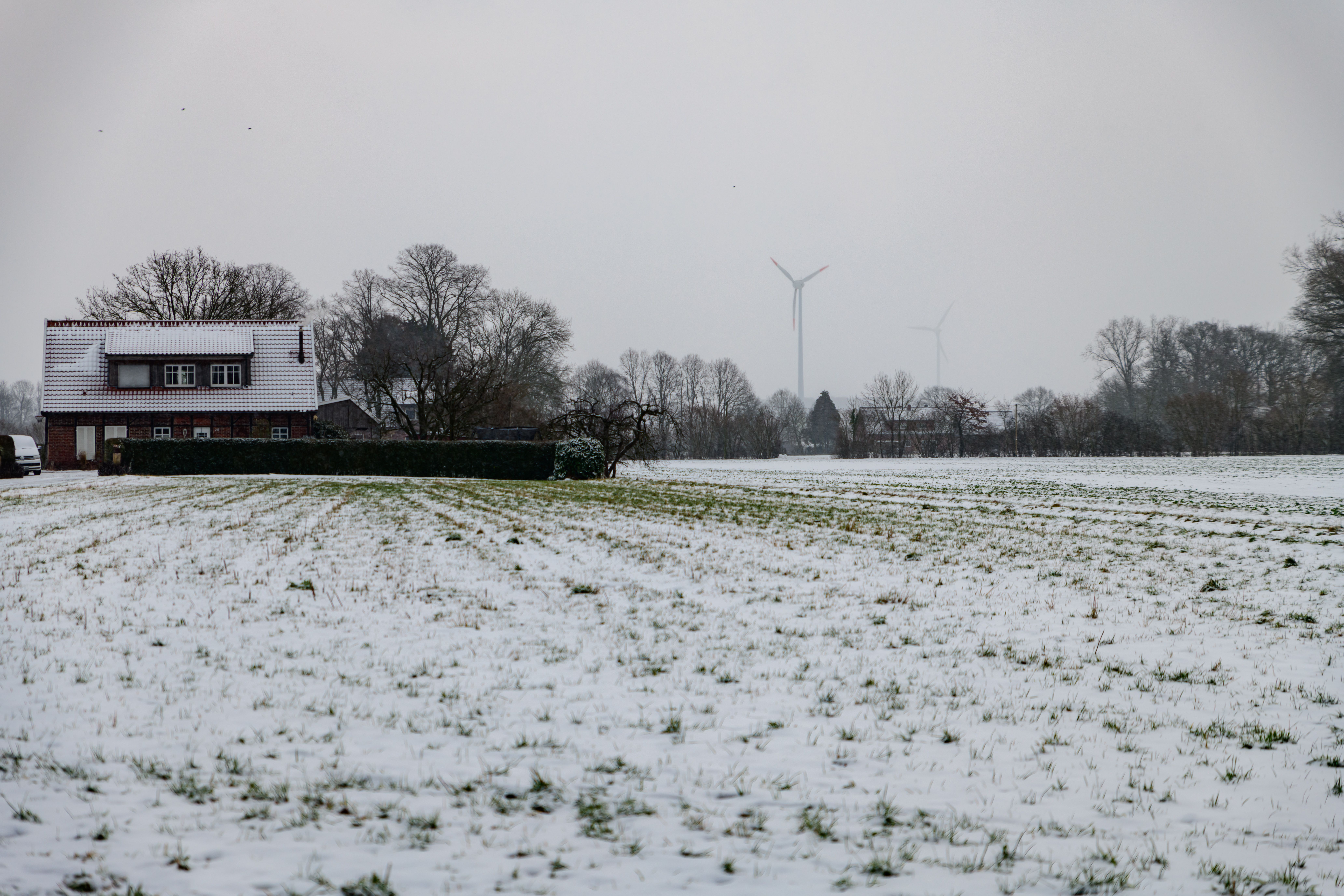 Snow-Covered Rural Landscape with Wind Turbines · Free Stock Photo