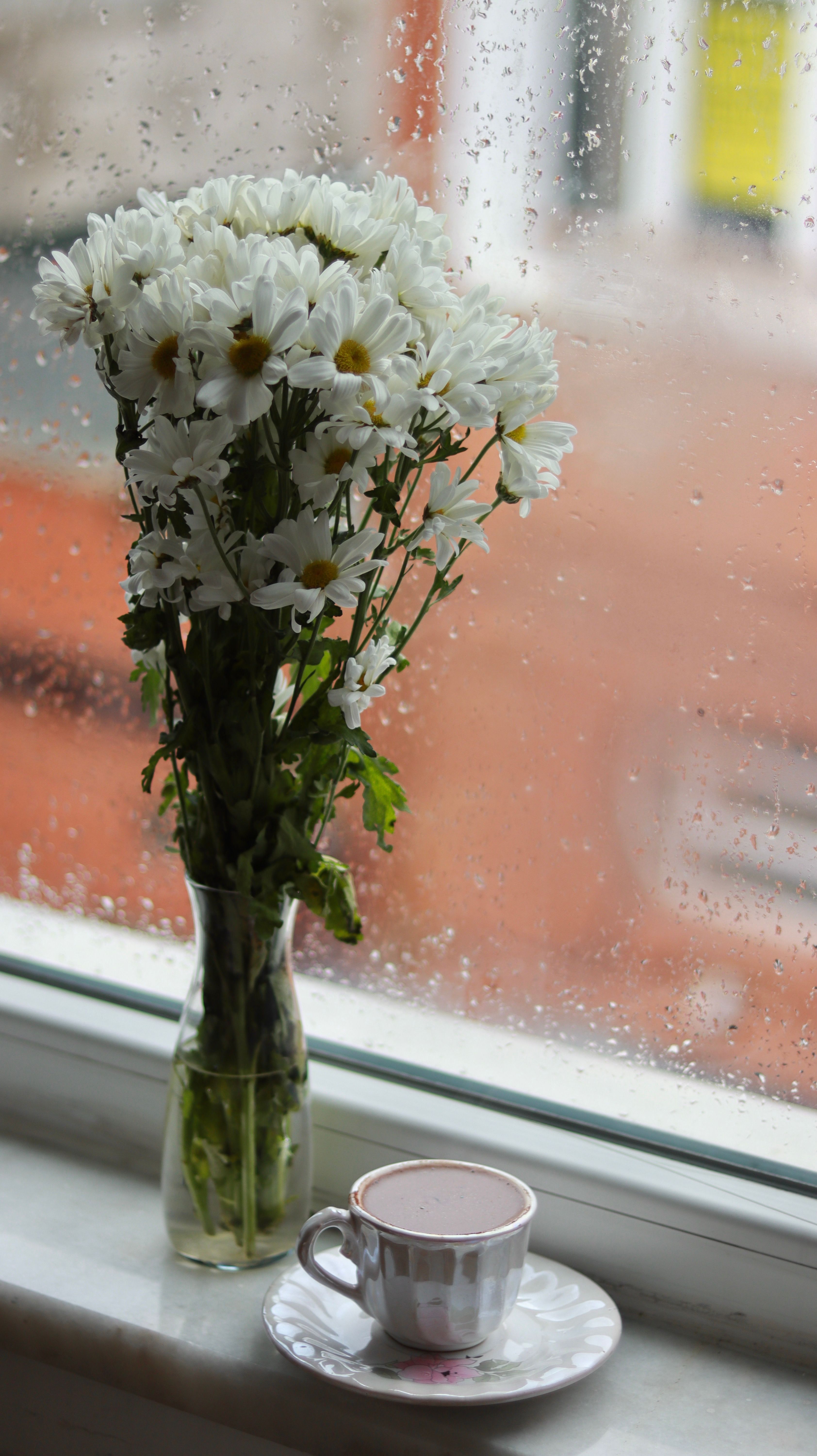 Home Kitchen On A Rainy Day Photos, Download The BEST Free Home Kitchen ...