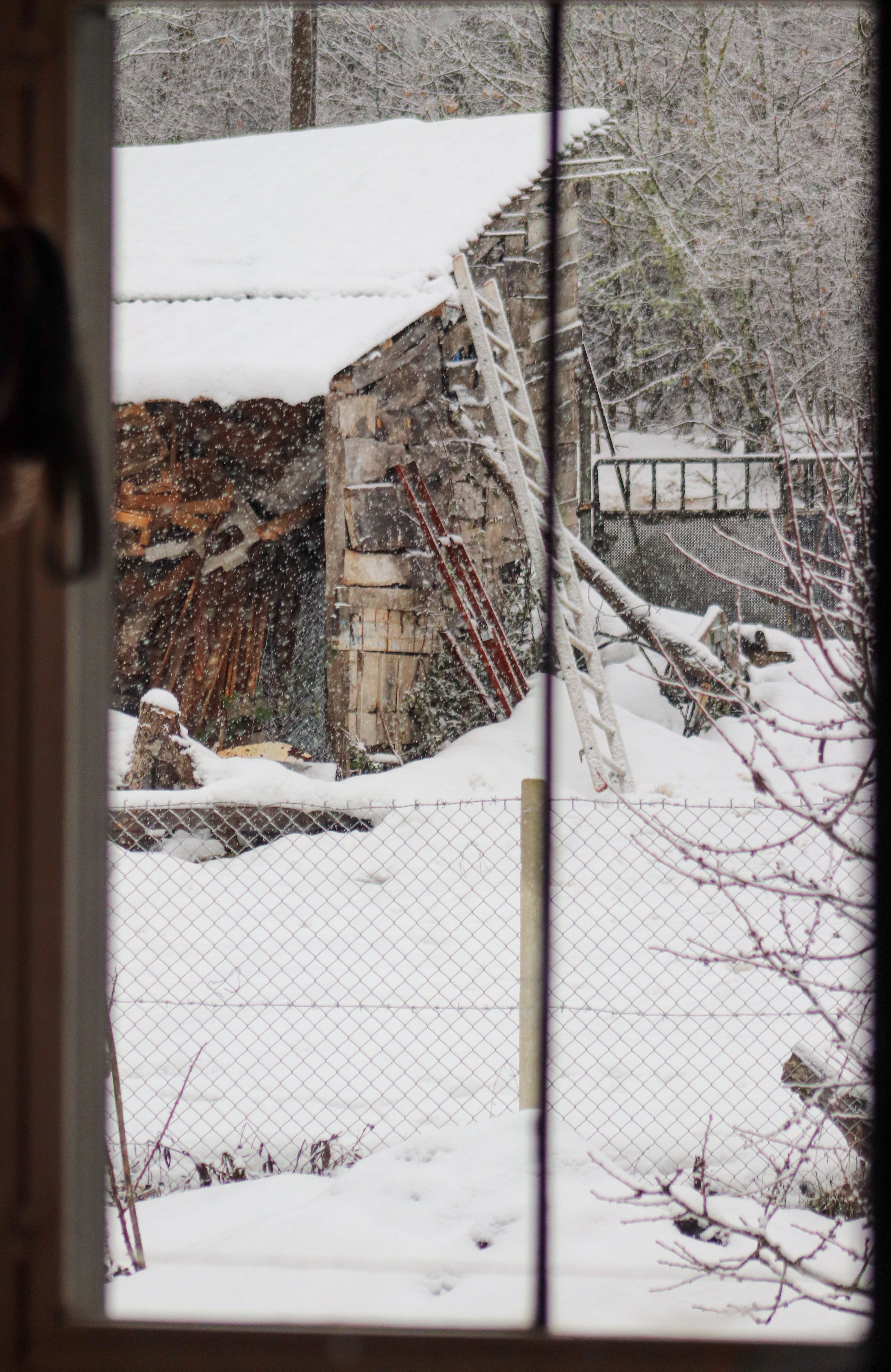 Rustic Snowy Cabin Scene Through Window · Free Stock Photo
