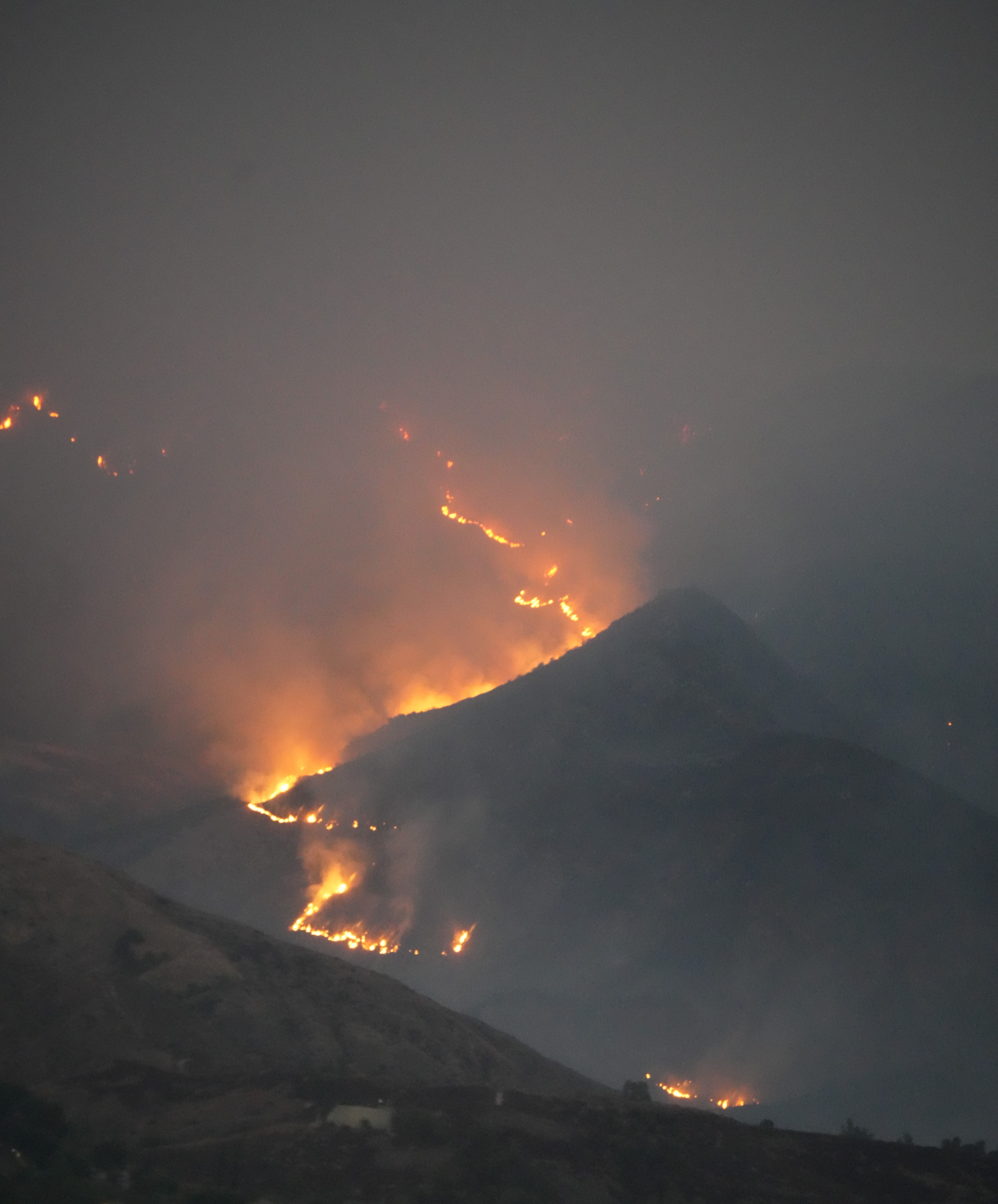 Foto de stock gratuita sobre amenaza a la vida silvestre, bosque en ...