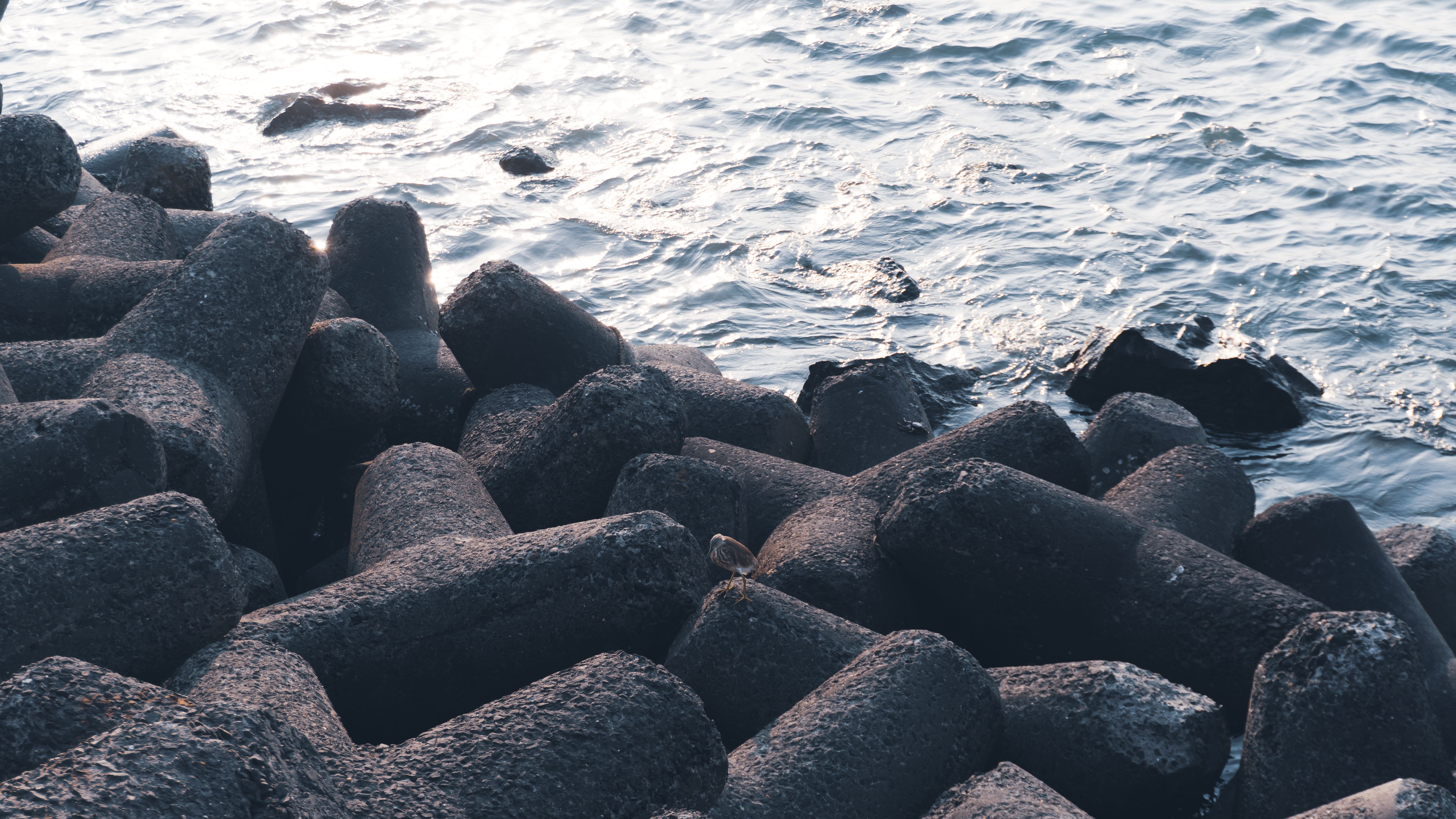 Rocky Breakwater at Marine Drive, Mumbai · Free Stock Photo