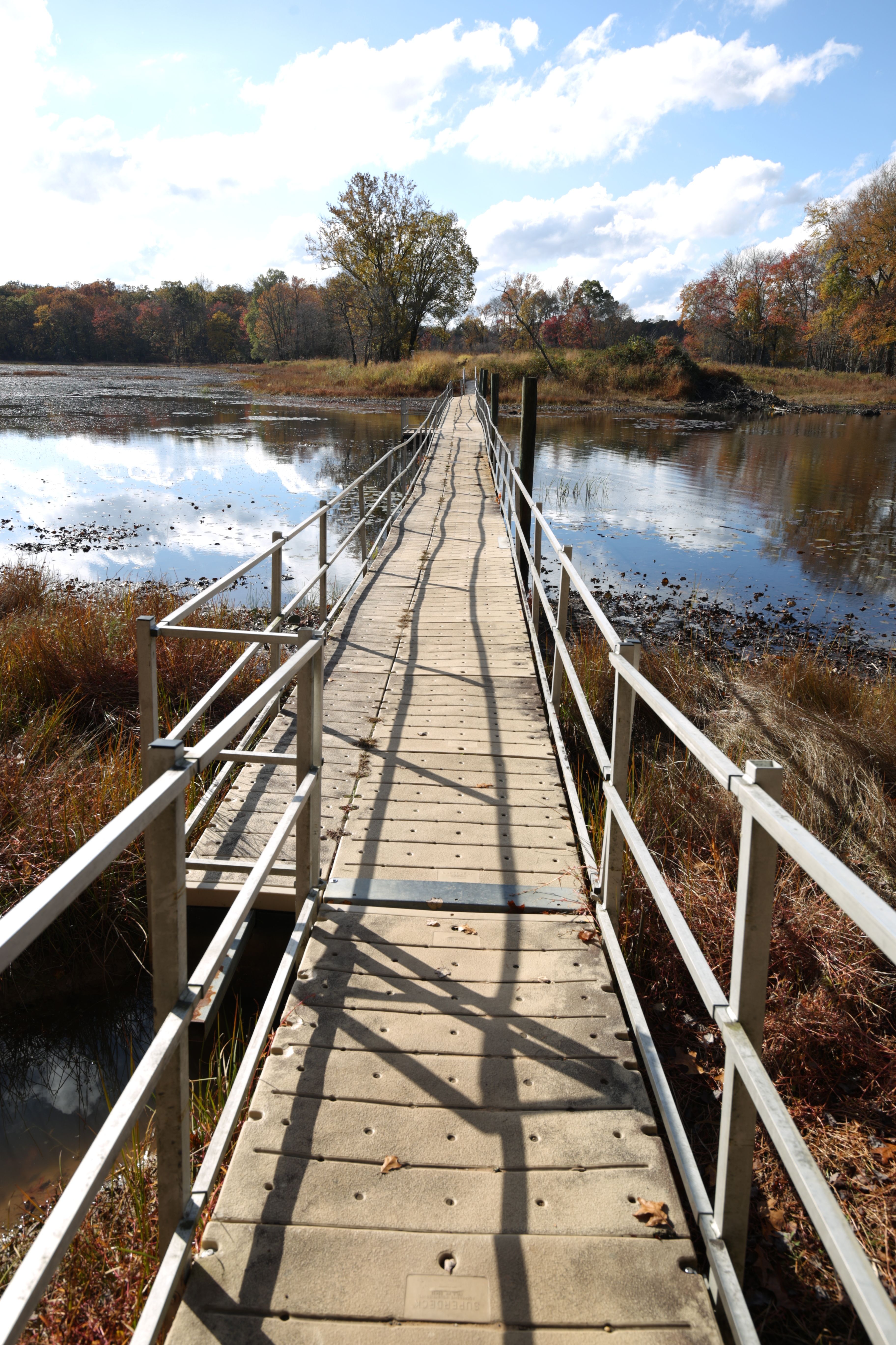 Wooden Pathway Leading Over Tranquil Water · Free Stock Photo