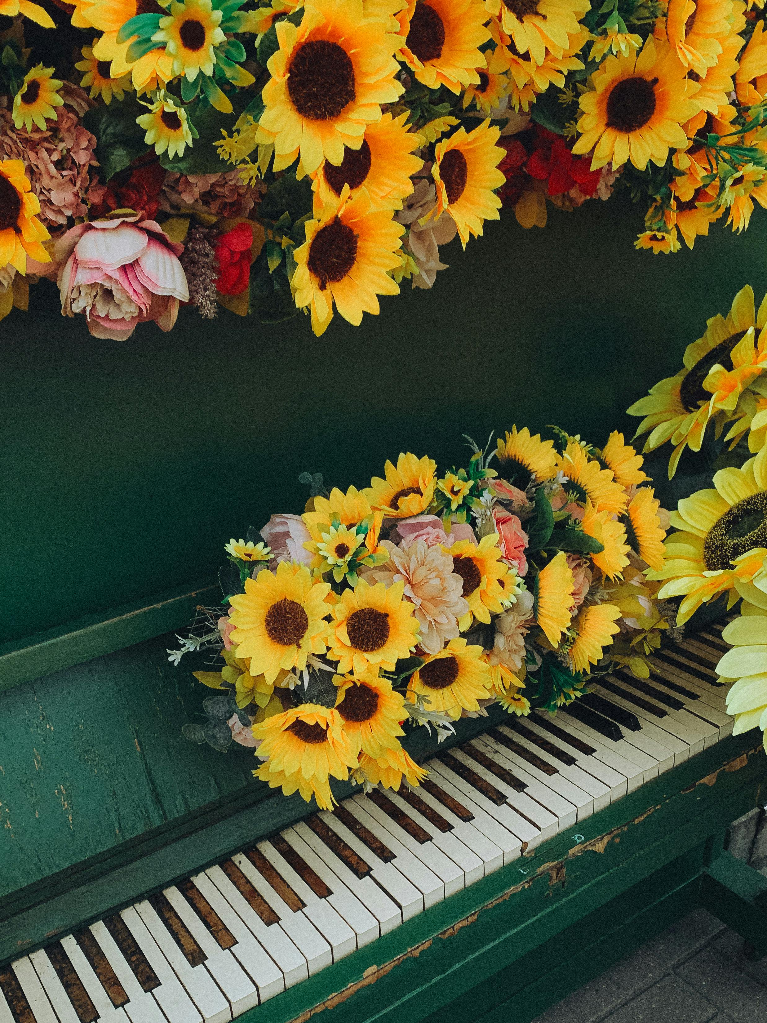 Italy Summer Flowers Piano Photos, Download The BEST Free Italy Summer Flowers Piano Stock ...