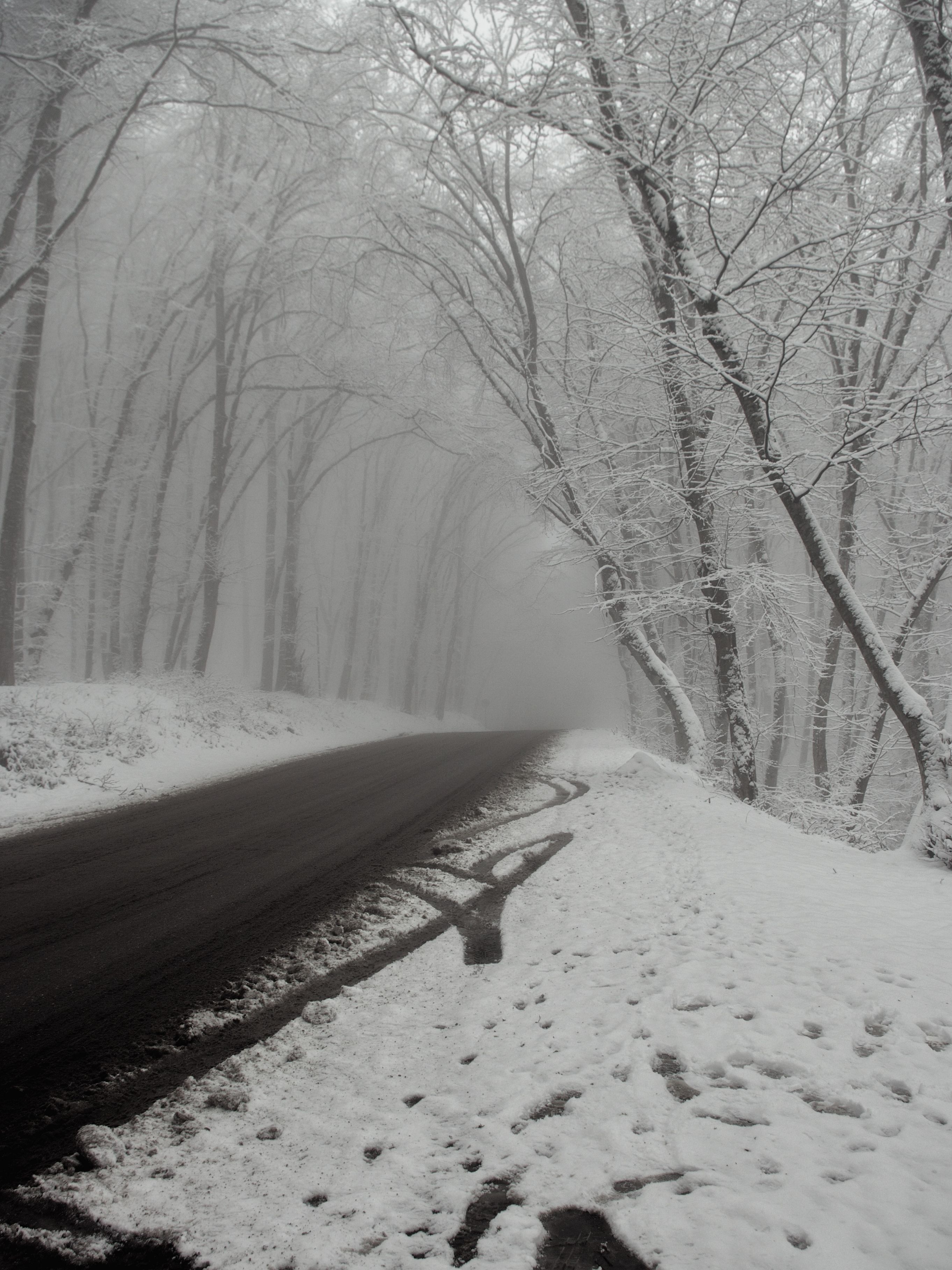 Misty Winter Road in Noresund, Norway · Free Stock Photo