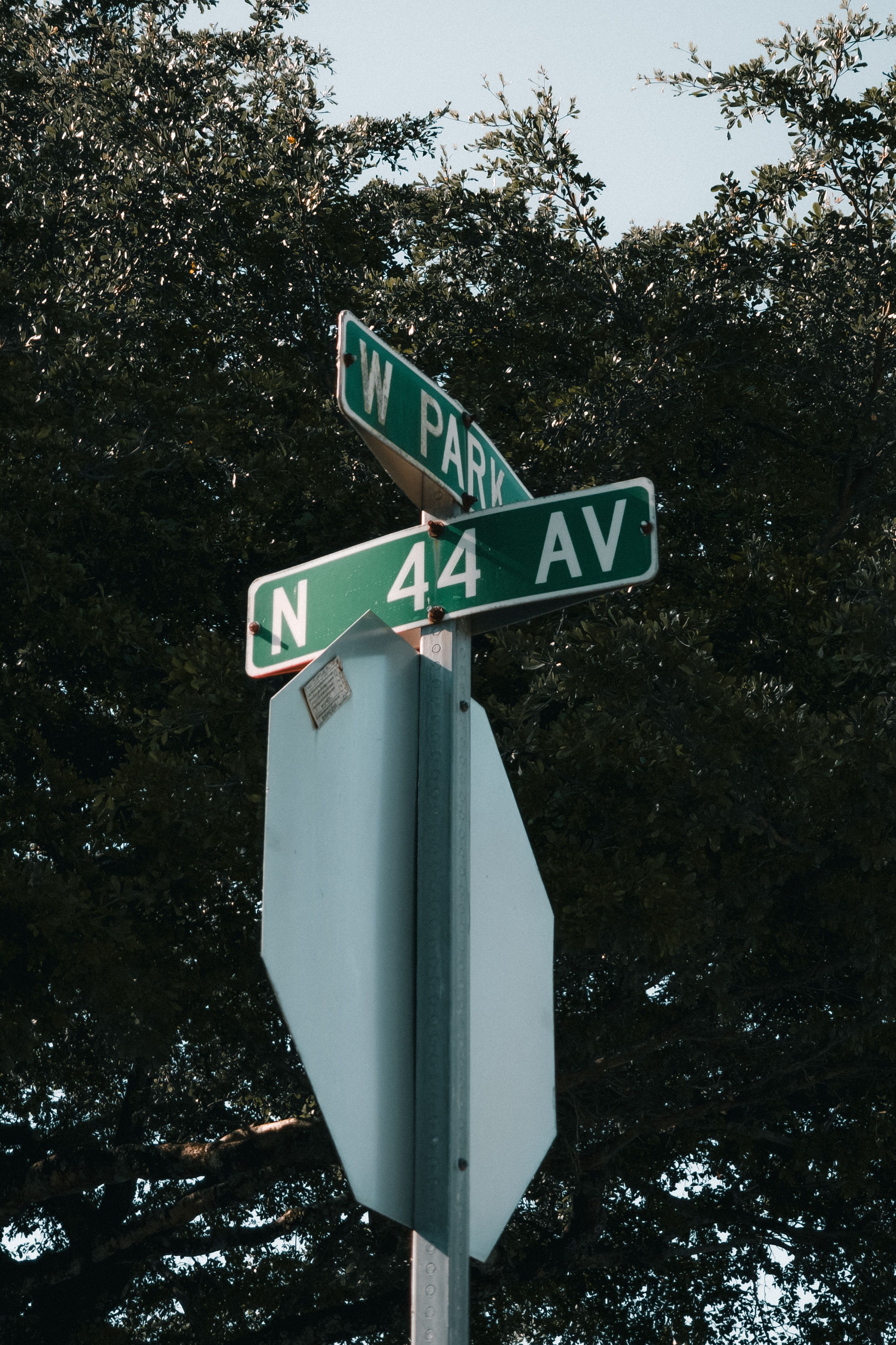 Street Sign at Intersection with Trees Overhead · Free Stock Photo
