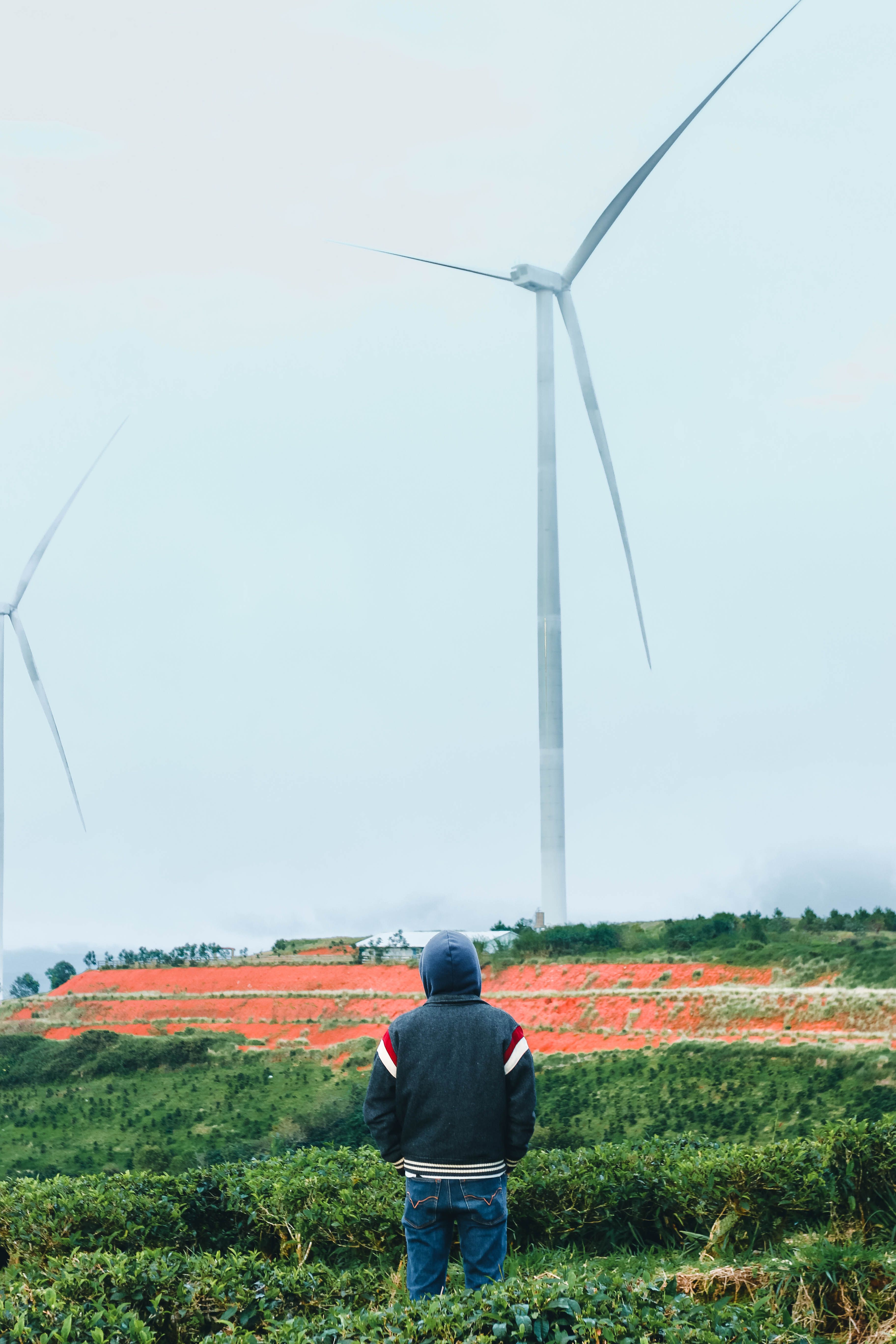 Person Observing Wind Turbines in Countryside · Free Stock Photo