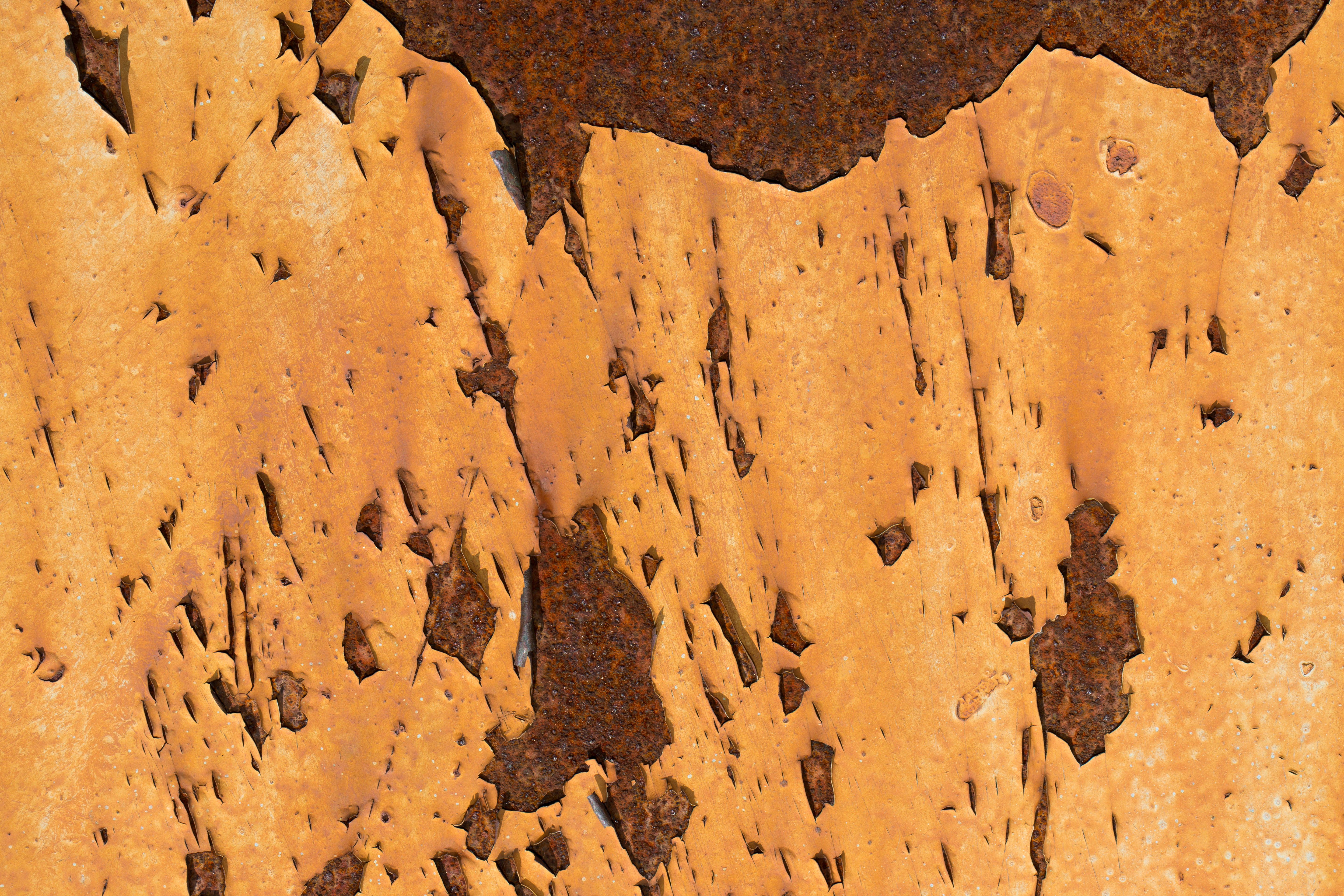 Rust Photos, Download The BEST Free Rust Stock Photos & HD Images