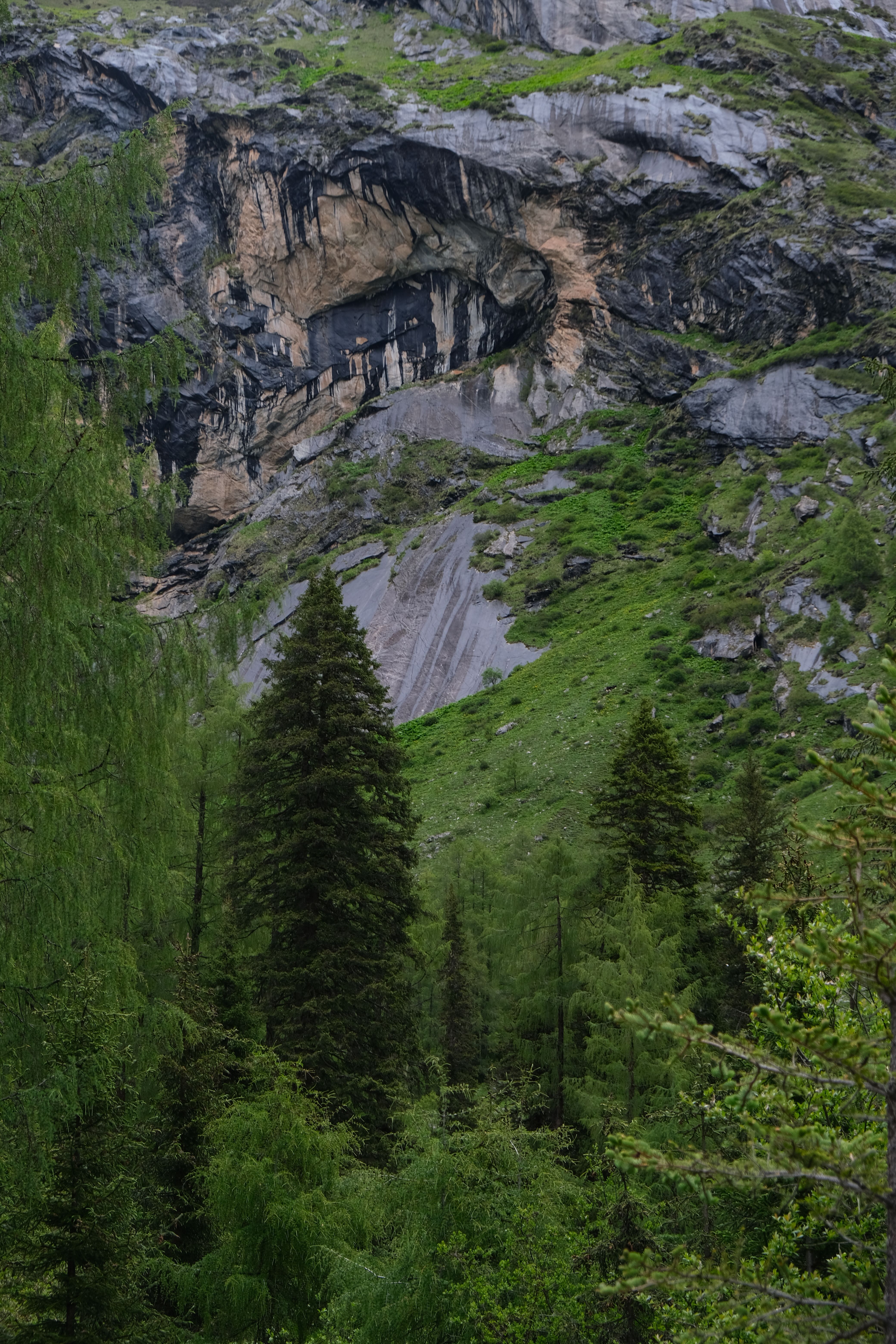 Lush Green Forest and Rocky Cliffs in China · Free Stock Photo
