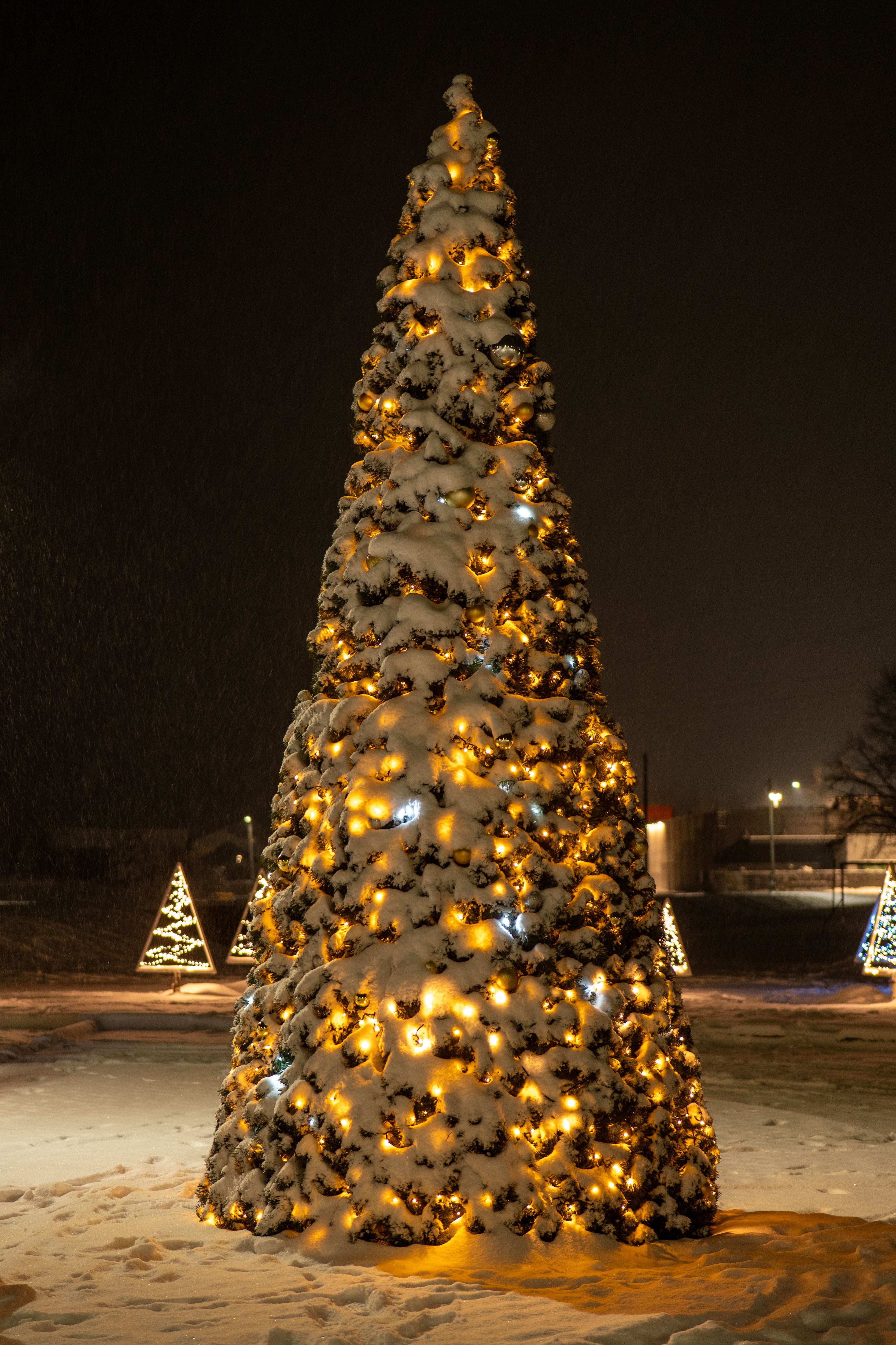 Snow-Covered Christmas Tree with Warm Lights · Free Stock Photo
