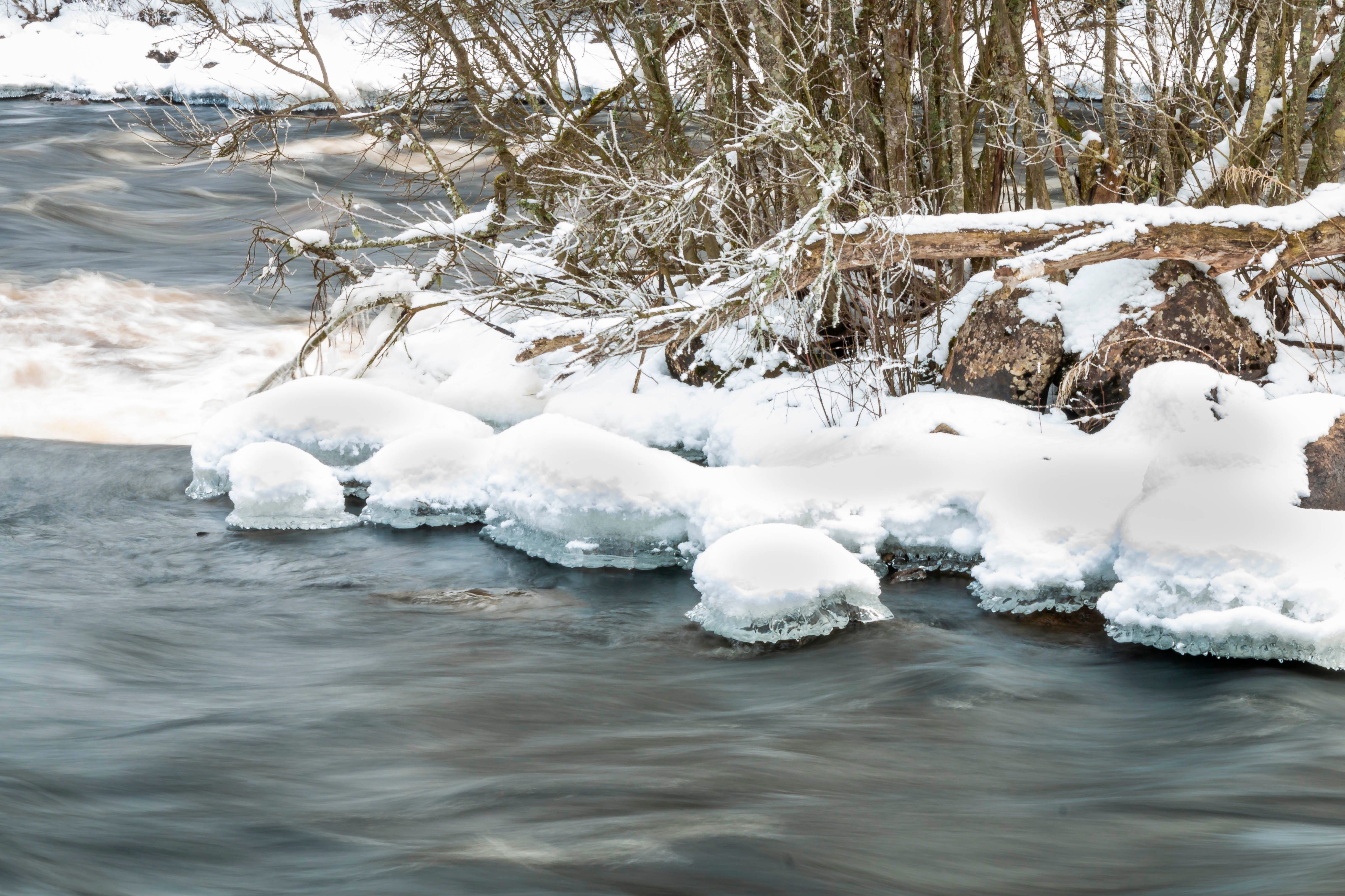 Winter Scene of Frozen River in Sweden · Free Stock Photo