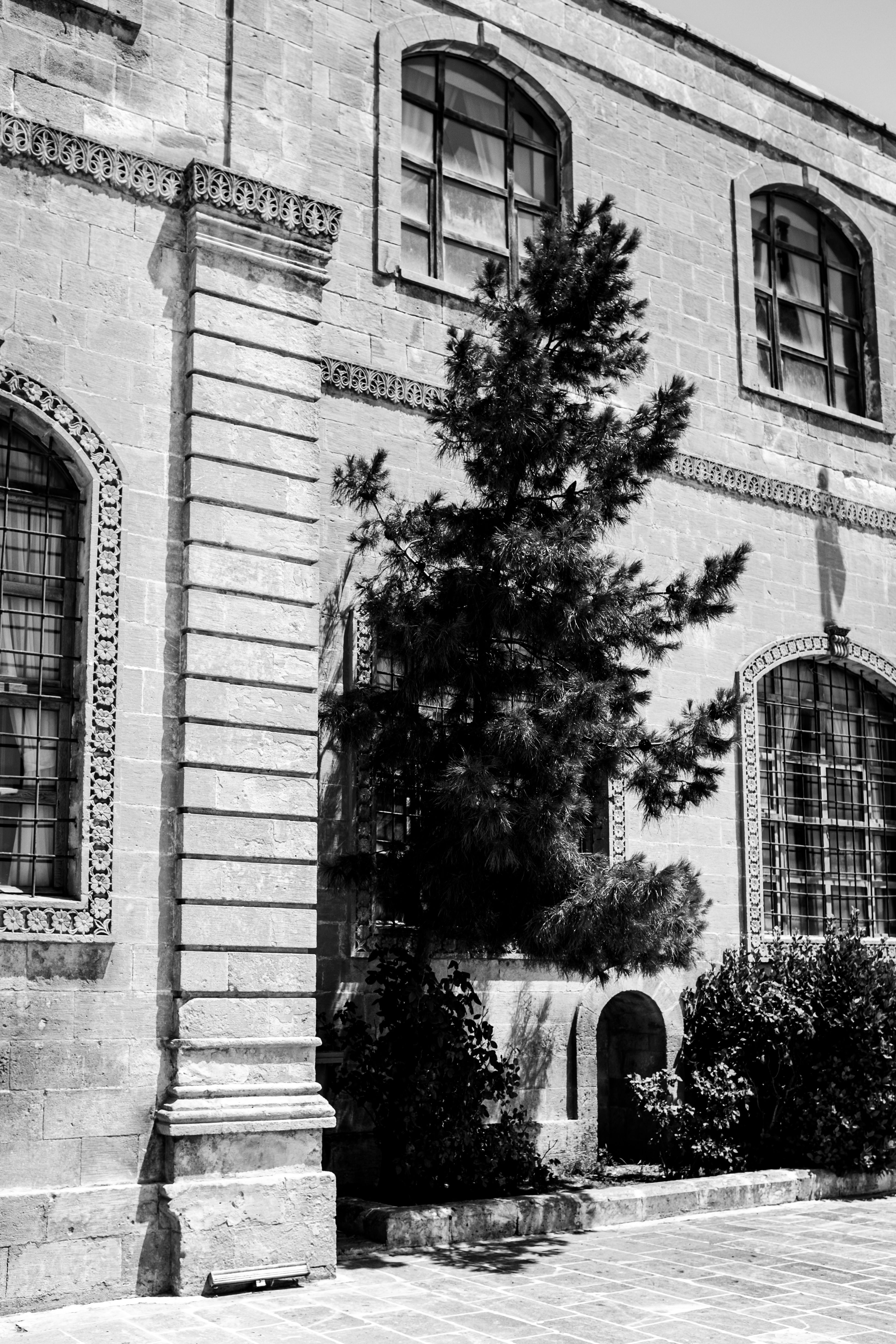 Historic Stone Building Exterior with Trees · Free Stock Photo