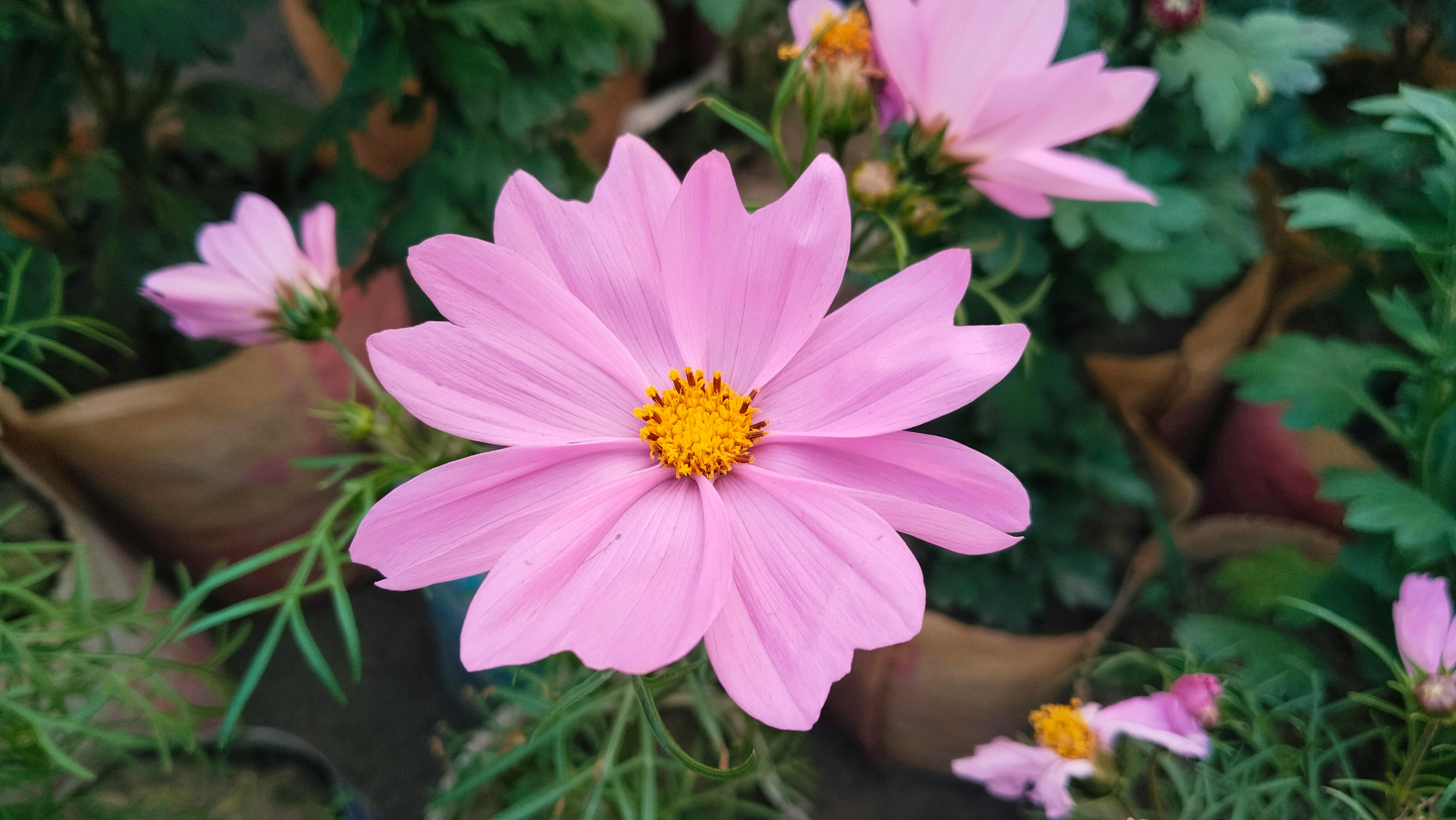 Background Image 1080 Room Photos, Download The BEST Free Background ...