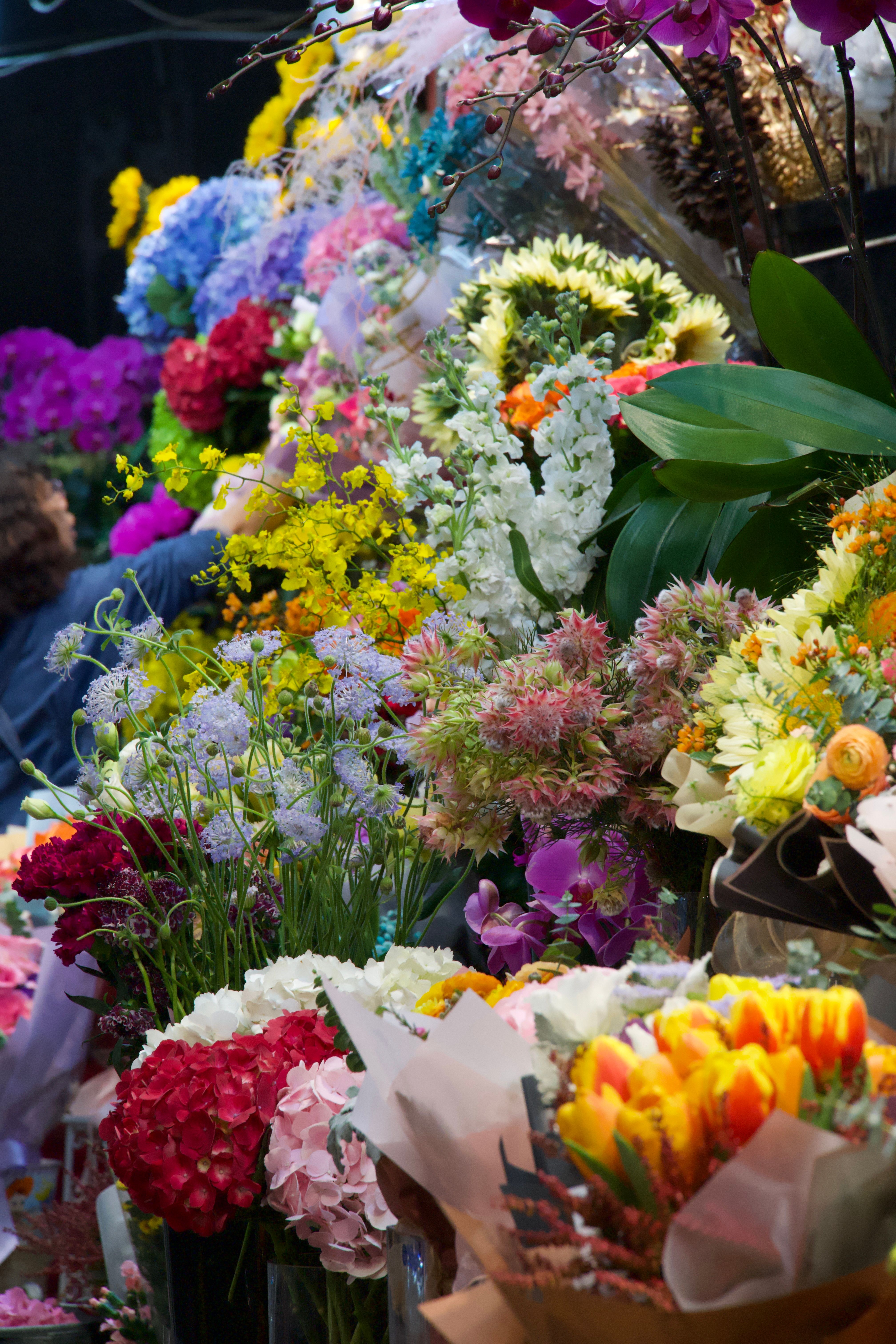 Bunch Of Flowers Photos, Download The BEST Free Bunch Of Flowers Stock ...