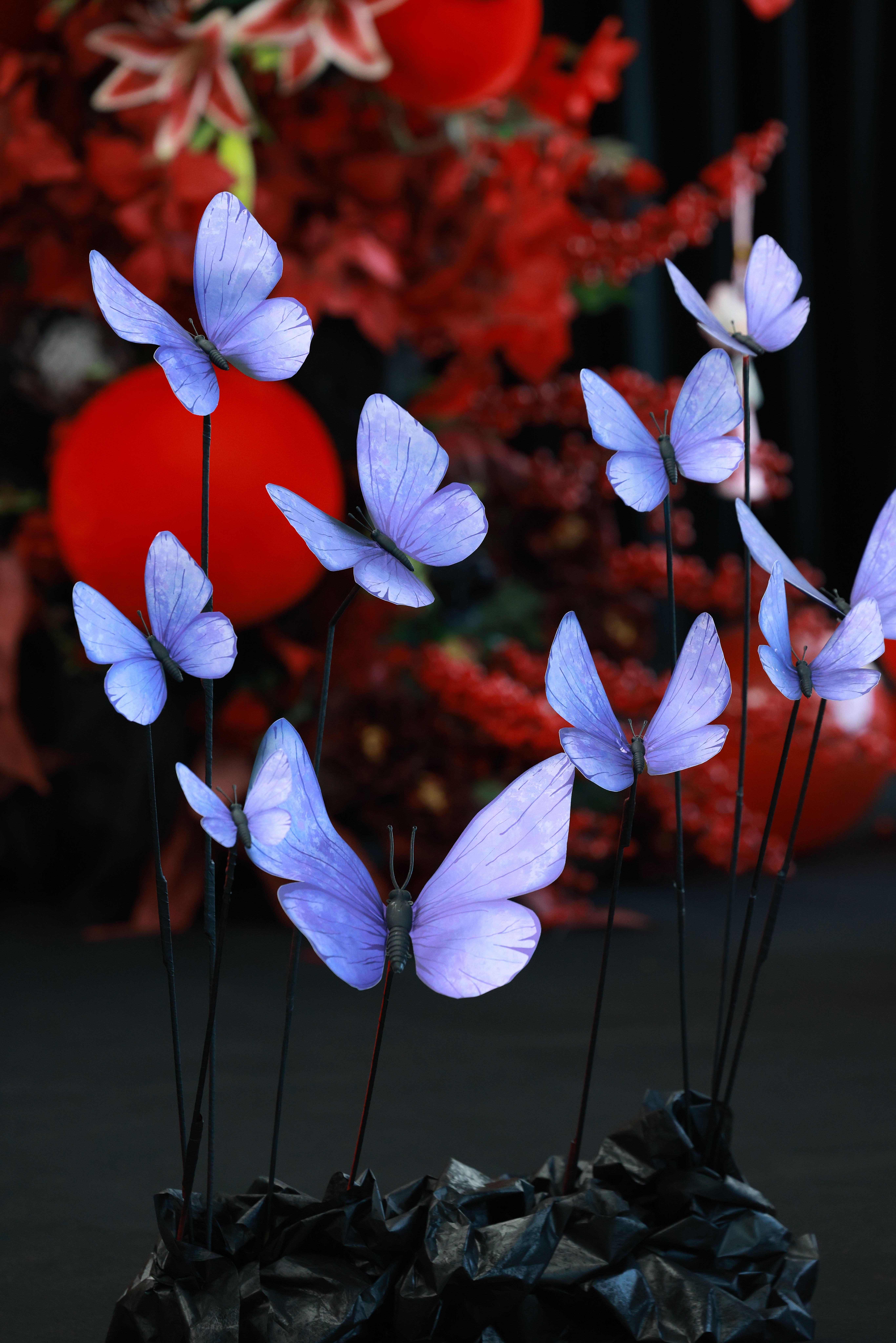 Vibrant Purple Butterflies with Red Floral Backdrop · Free Stock Photo