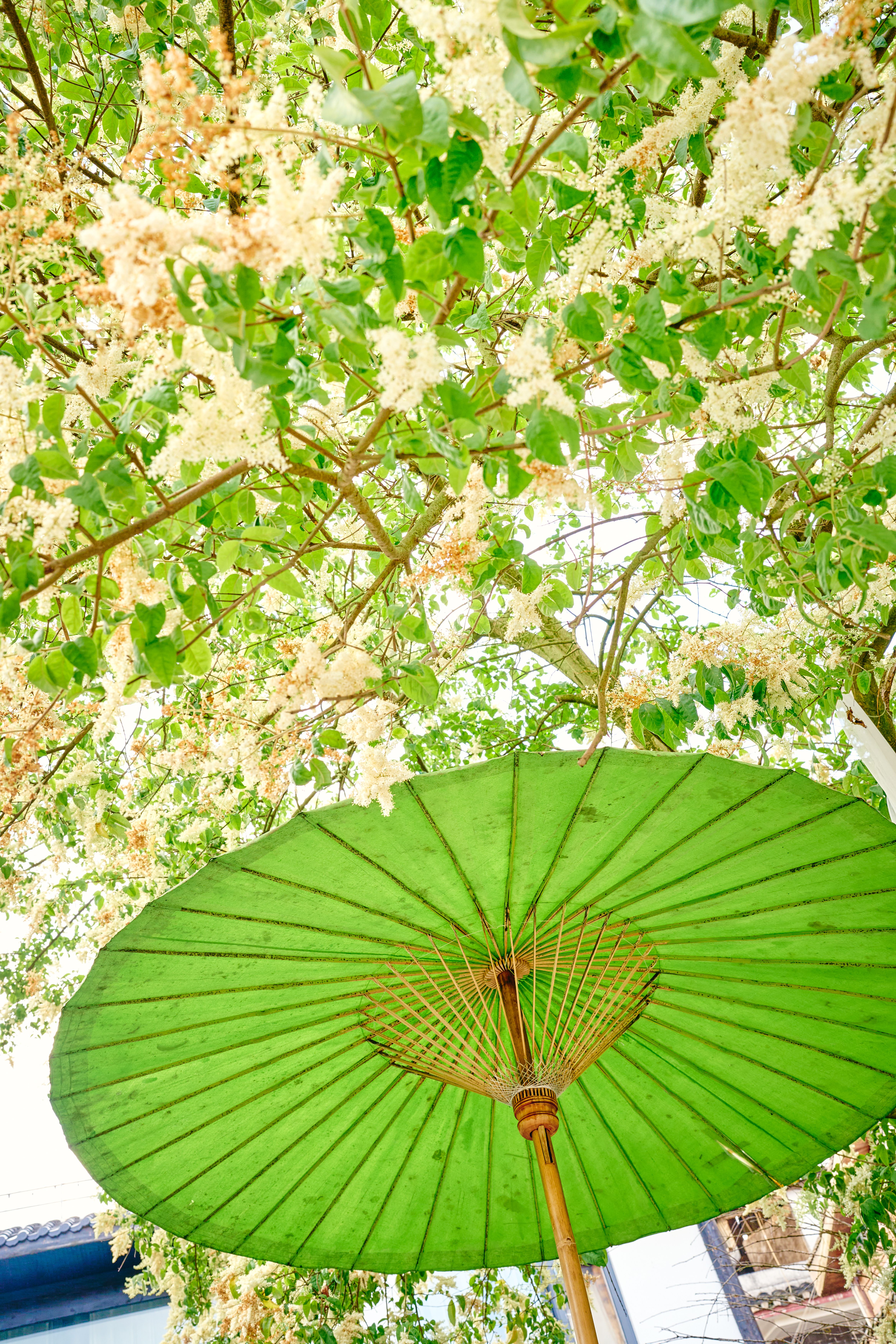 Ricky Kwong - Photography